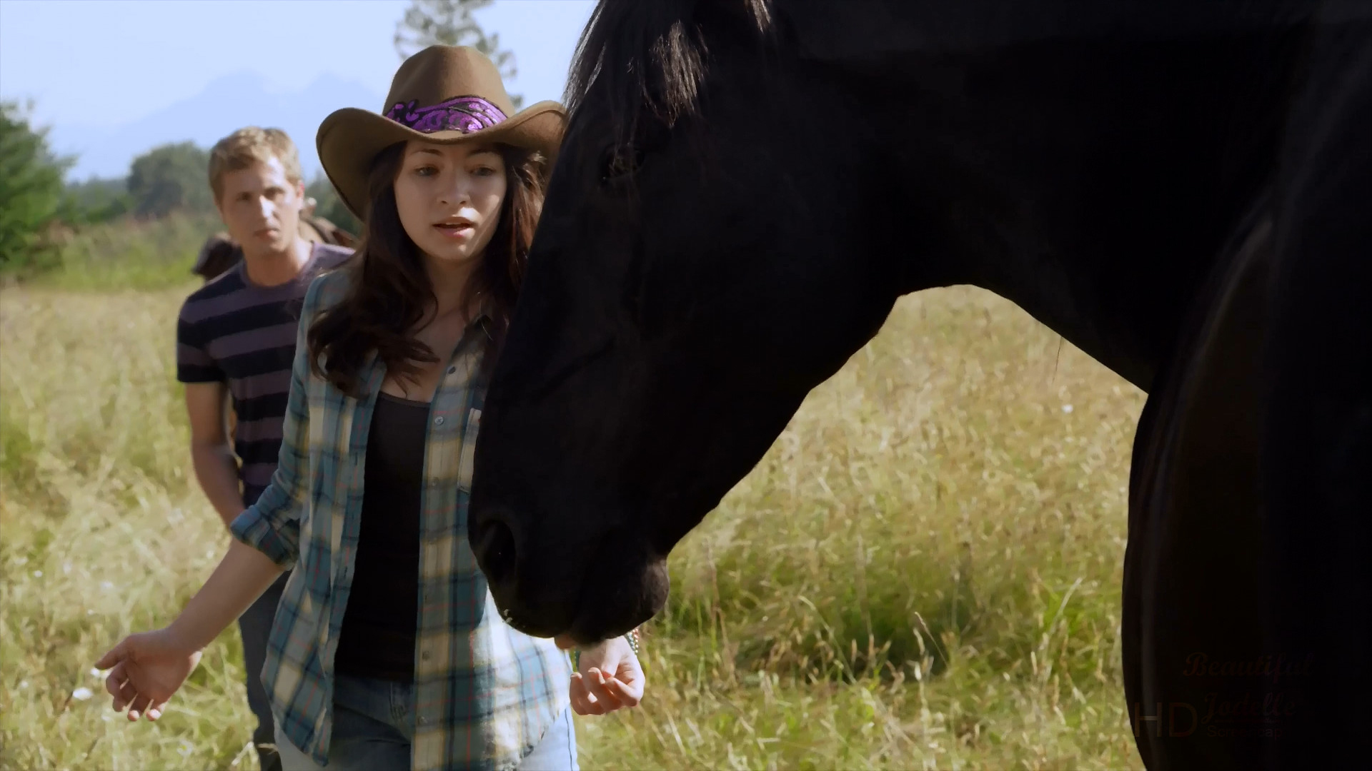 Prime Video: Midnight Stallion