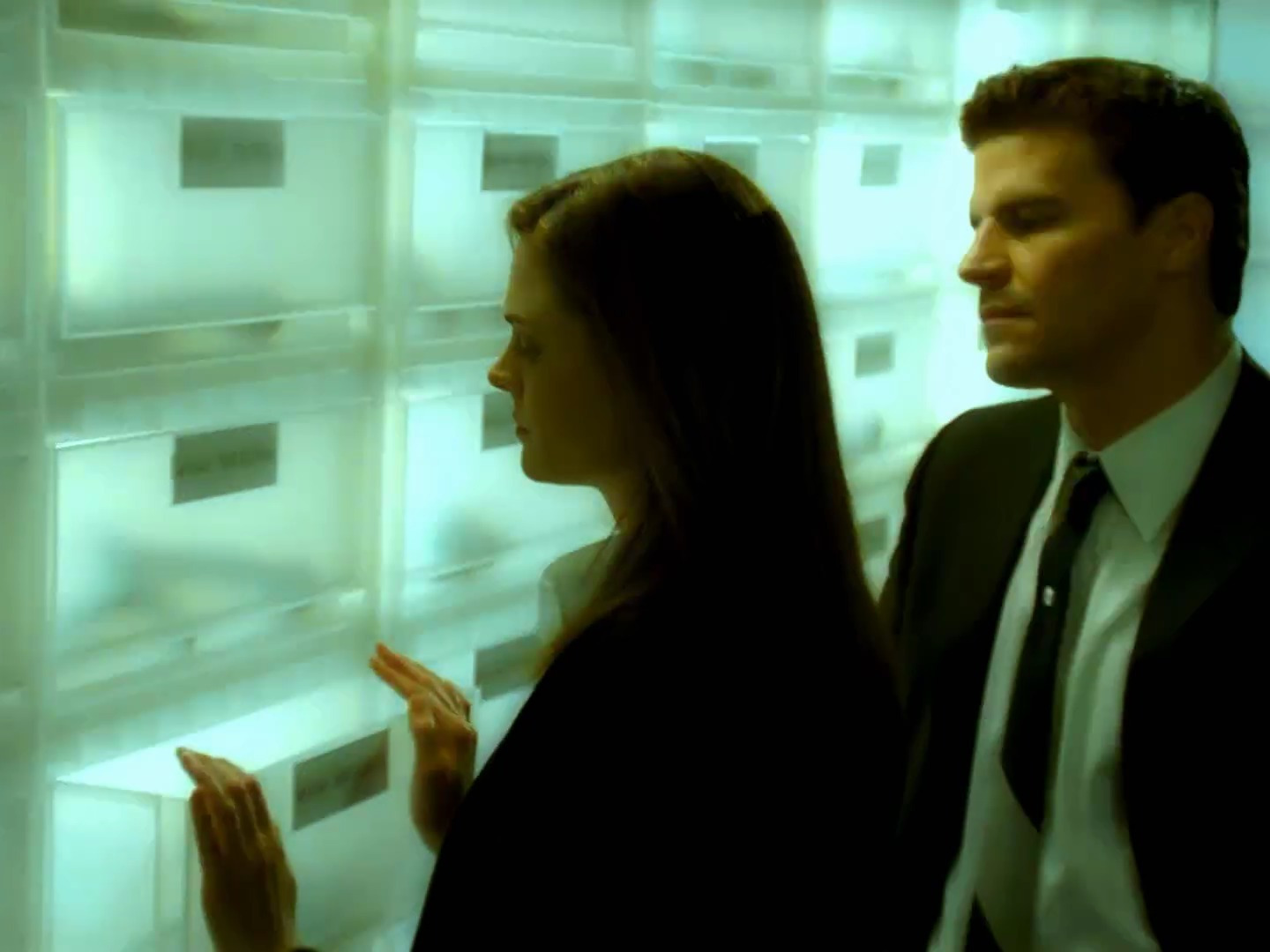 Prime Video: Bones - Season 8