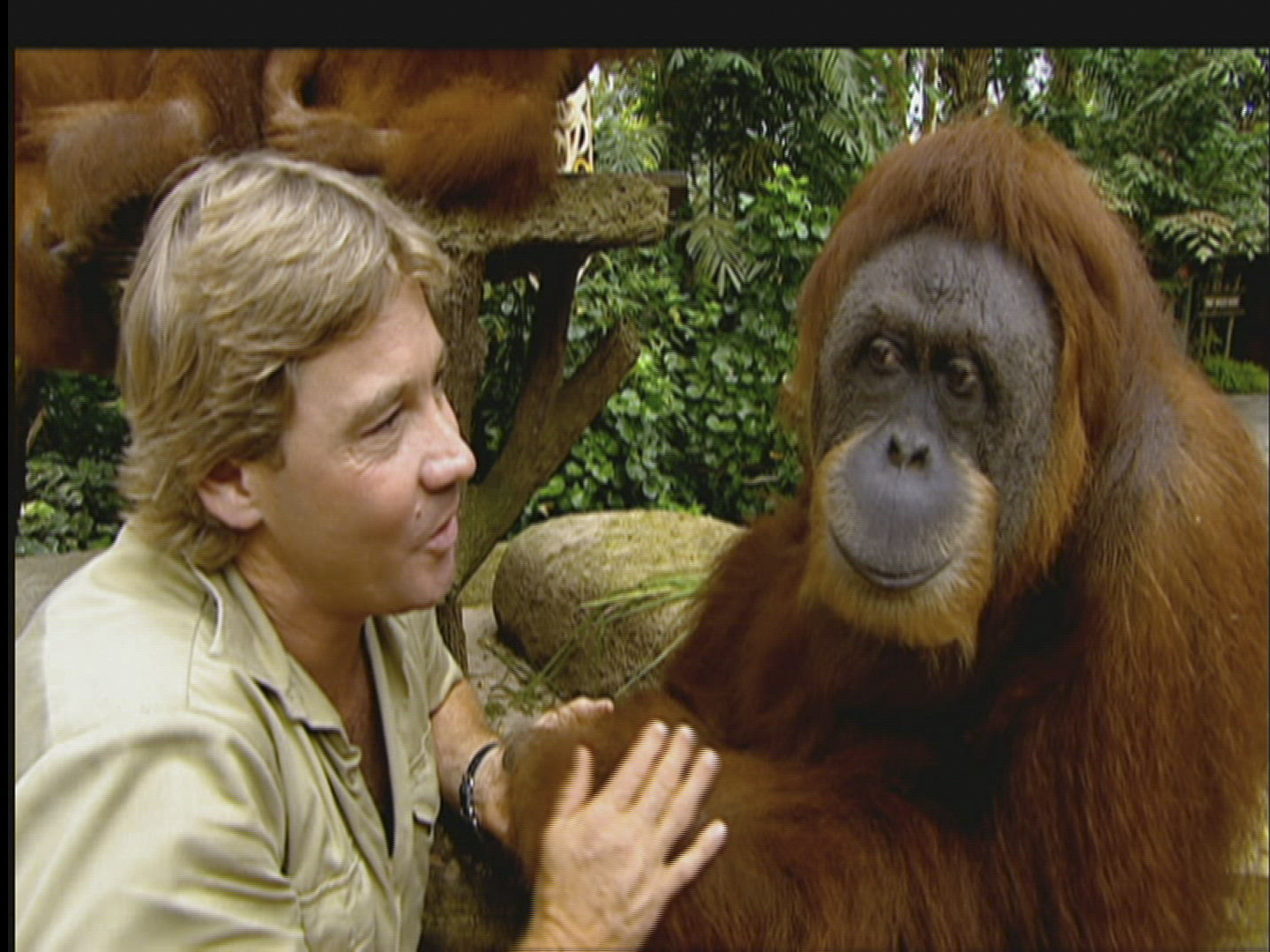 Prime Video: Crocodile Hunter Diaries - Season 3