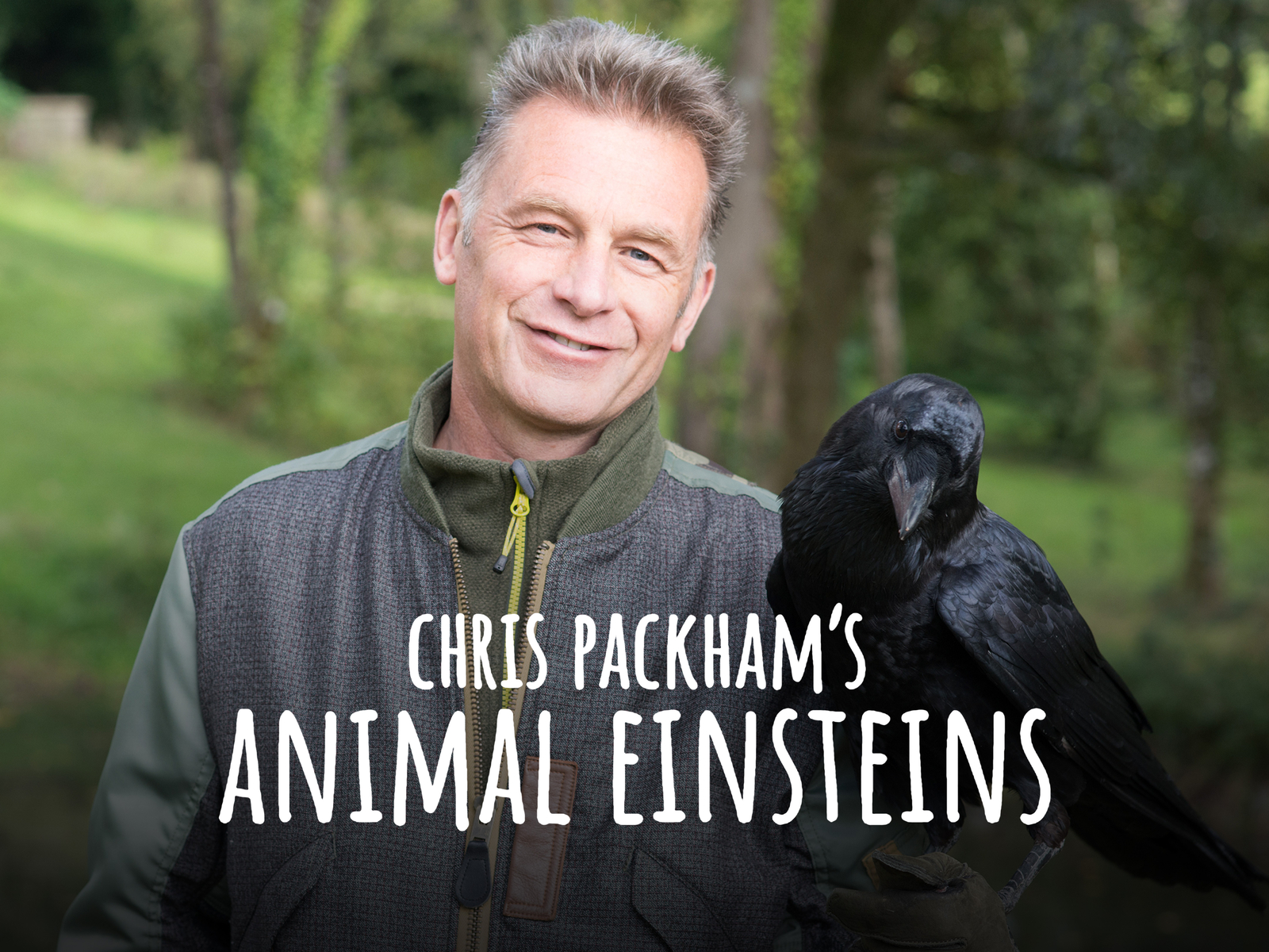 Prime Video: Chris Packham's Animal Einsteins - Season 1