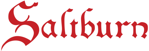 Watch Saltburn | Prime Video