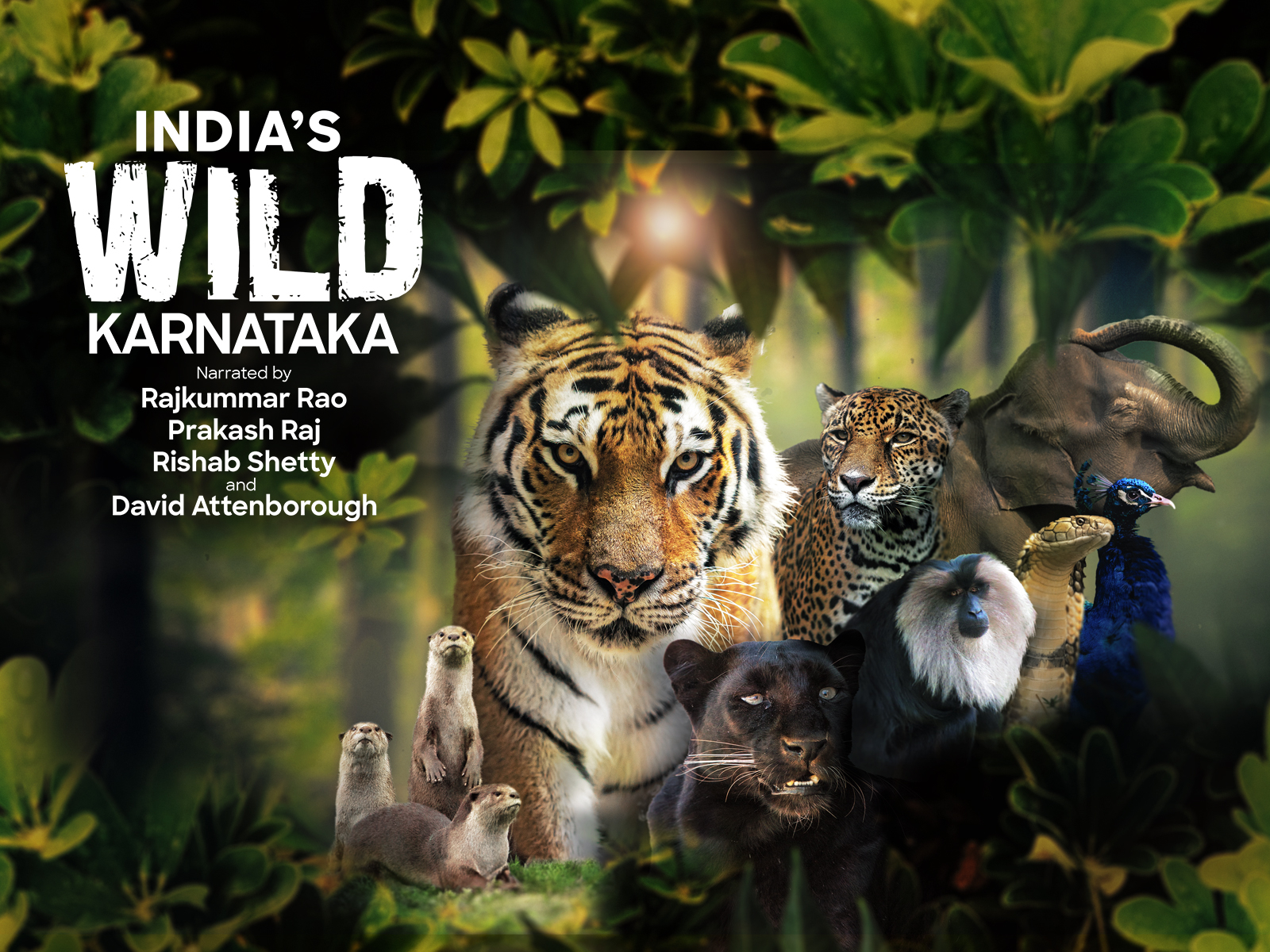 Prime Video: Wild Karnataka - Season 1