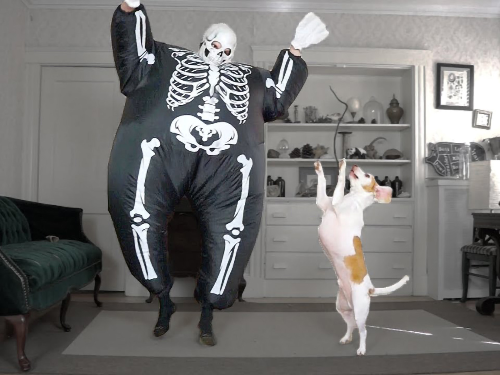 Prime Video: Maymo Gets Pranked