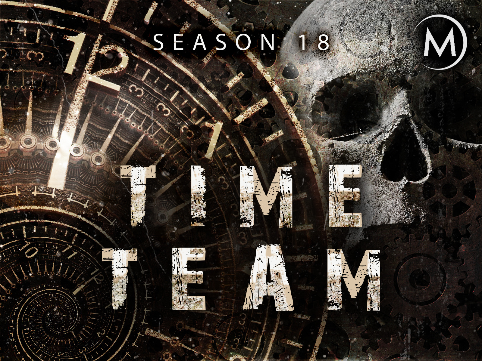 Prime Video: Time Team HD