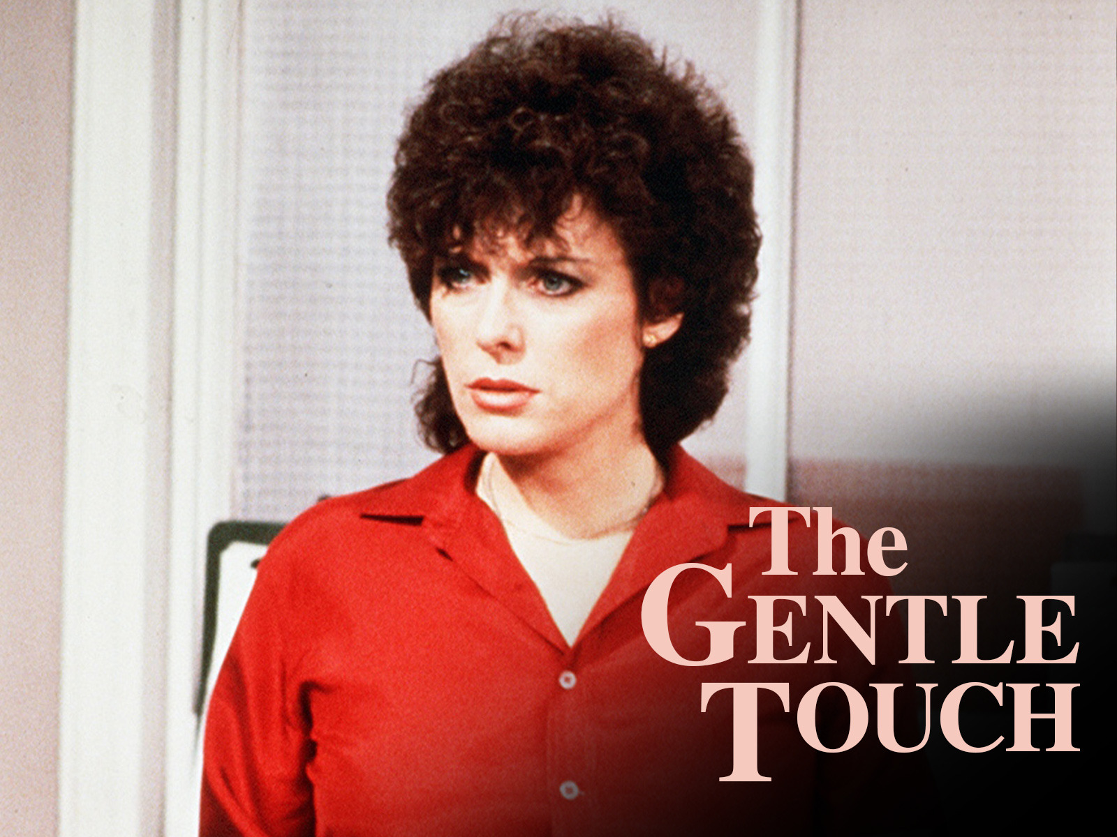 Prime Video: The Gentle Touch
