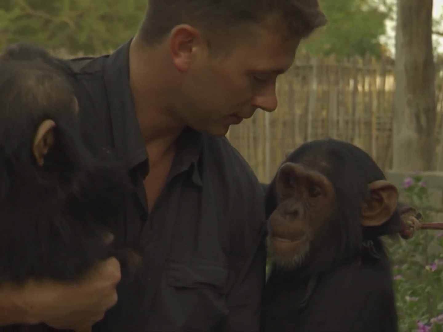 Prime Video: Escape to Chimp Eden - Season 1