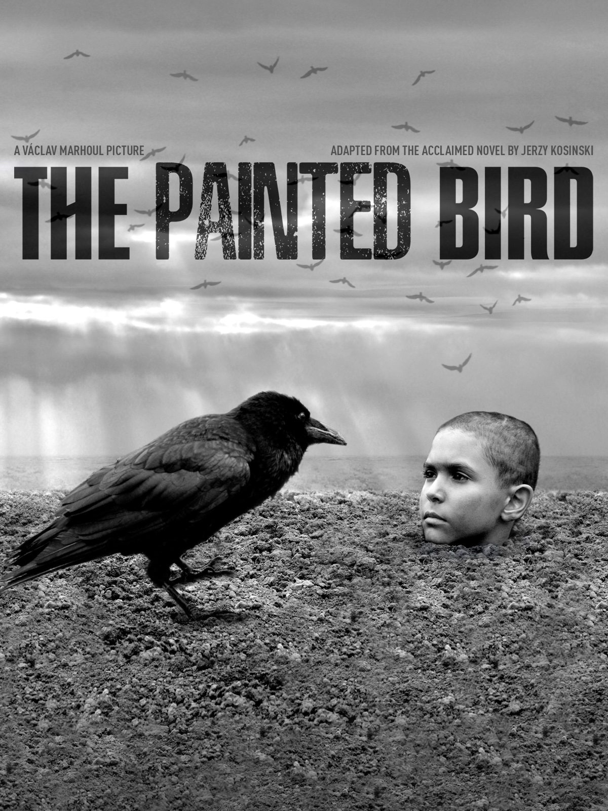 Prime Video: The Painted Bird