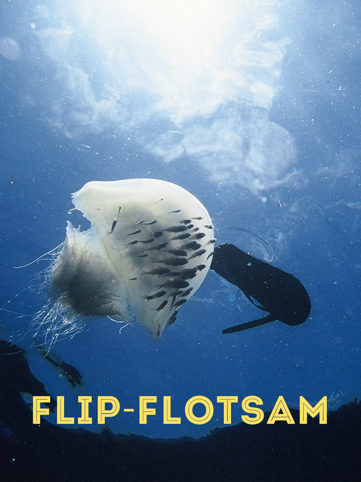 Prime Video: Flip-Flotsam