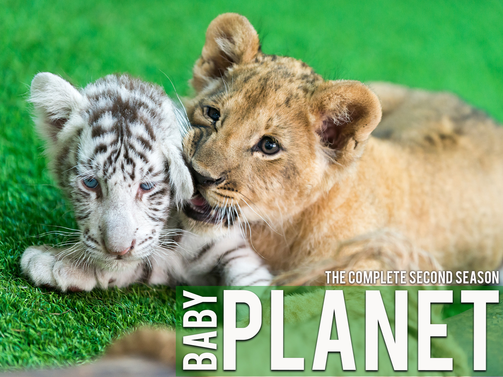 Prime Video: Baby Planet