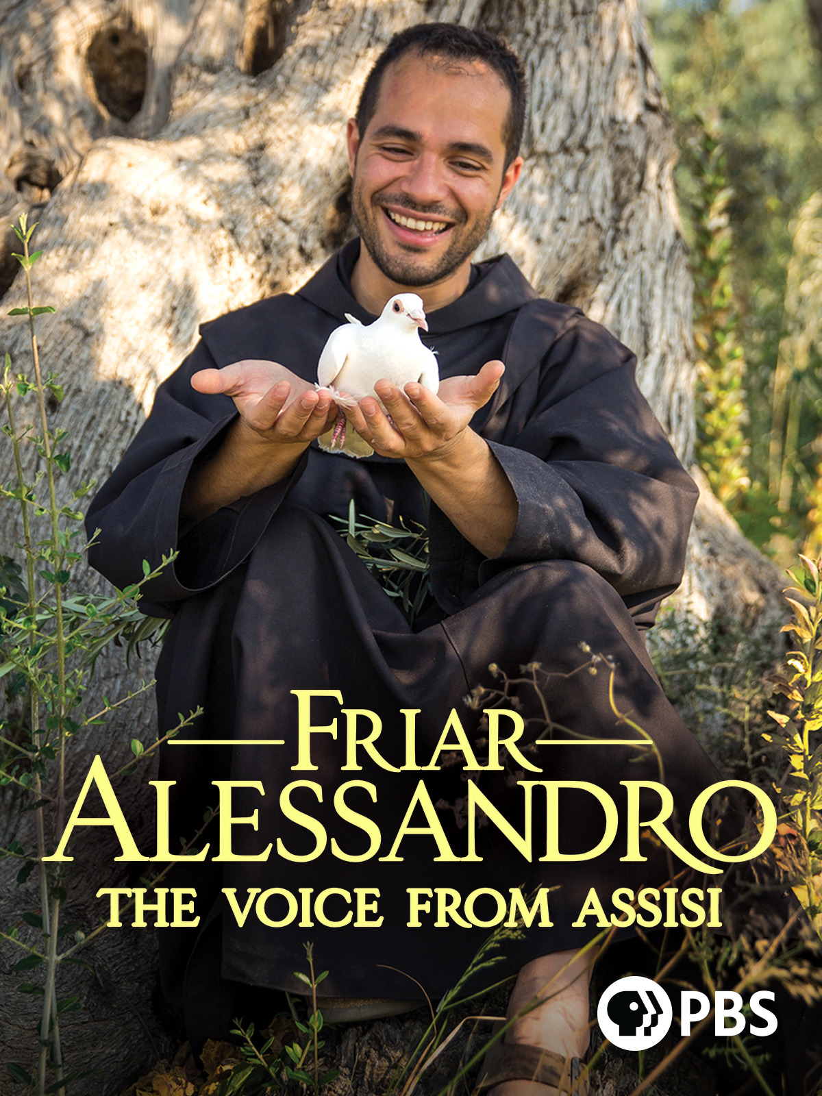 Prime Video: Friar Alessandro: The Voice from Assisi