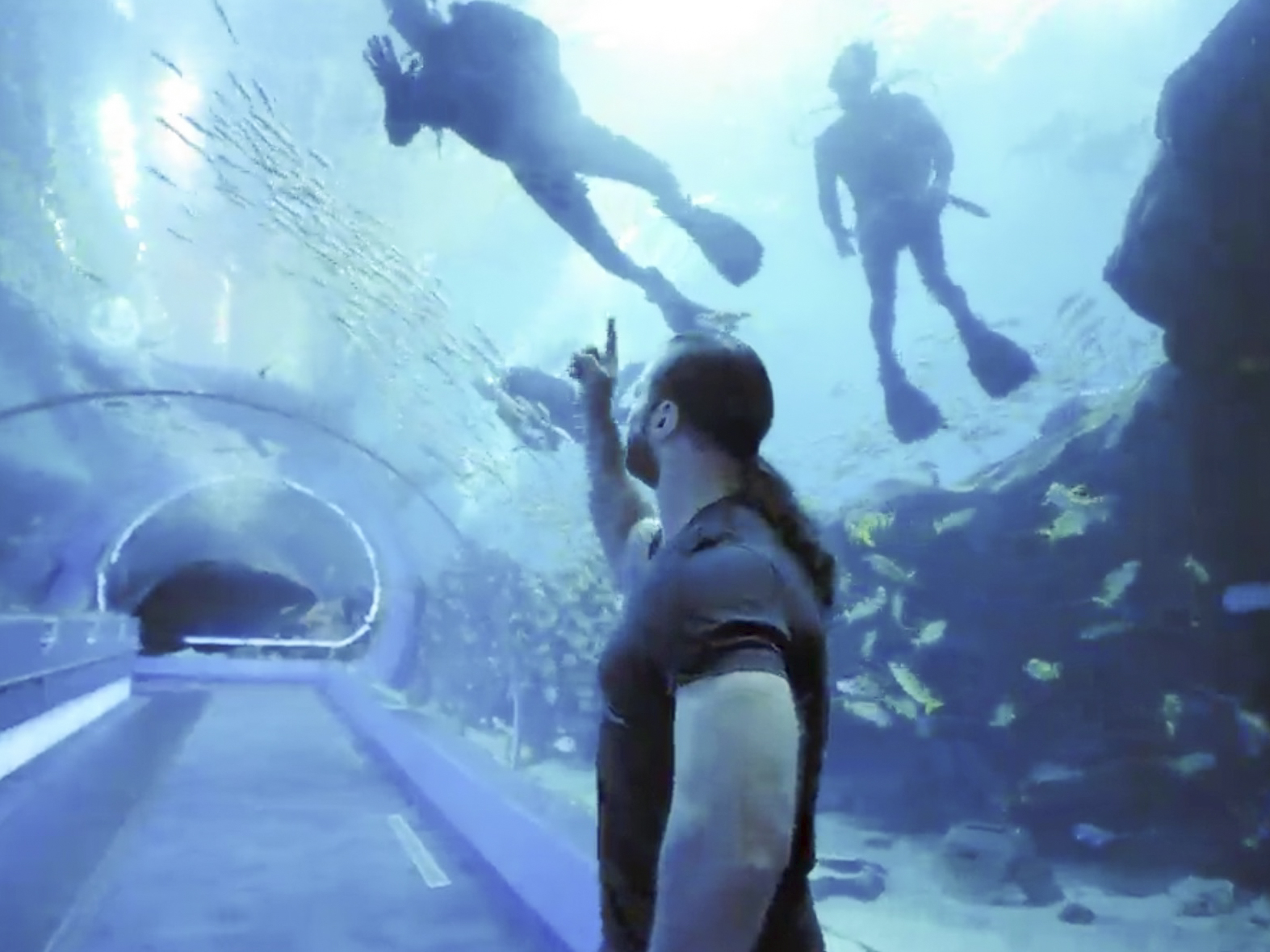 Prime Video: Shark Rumble - Season 1