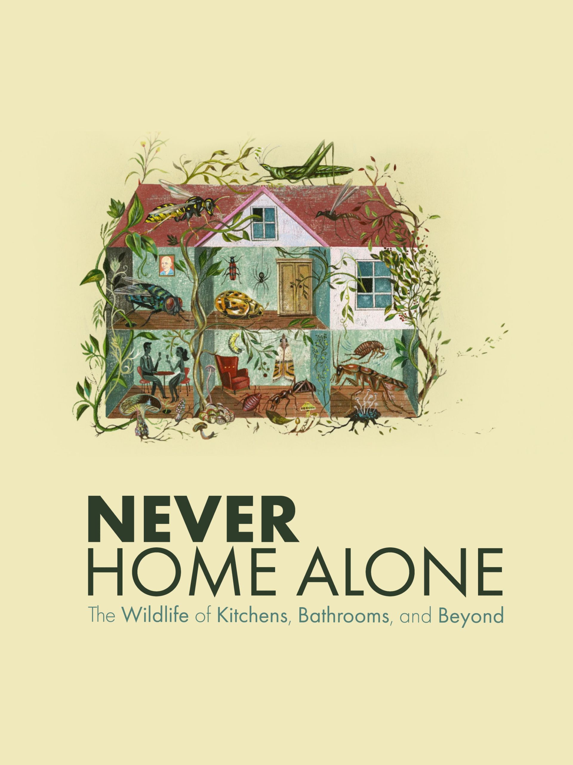 Prime Video: Never Home Alone: The Wildlife of Kitchens, Bathrooms, and ...