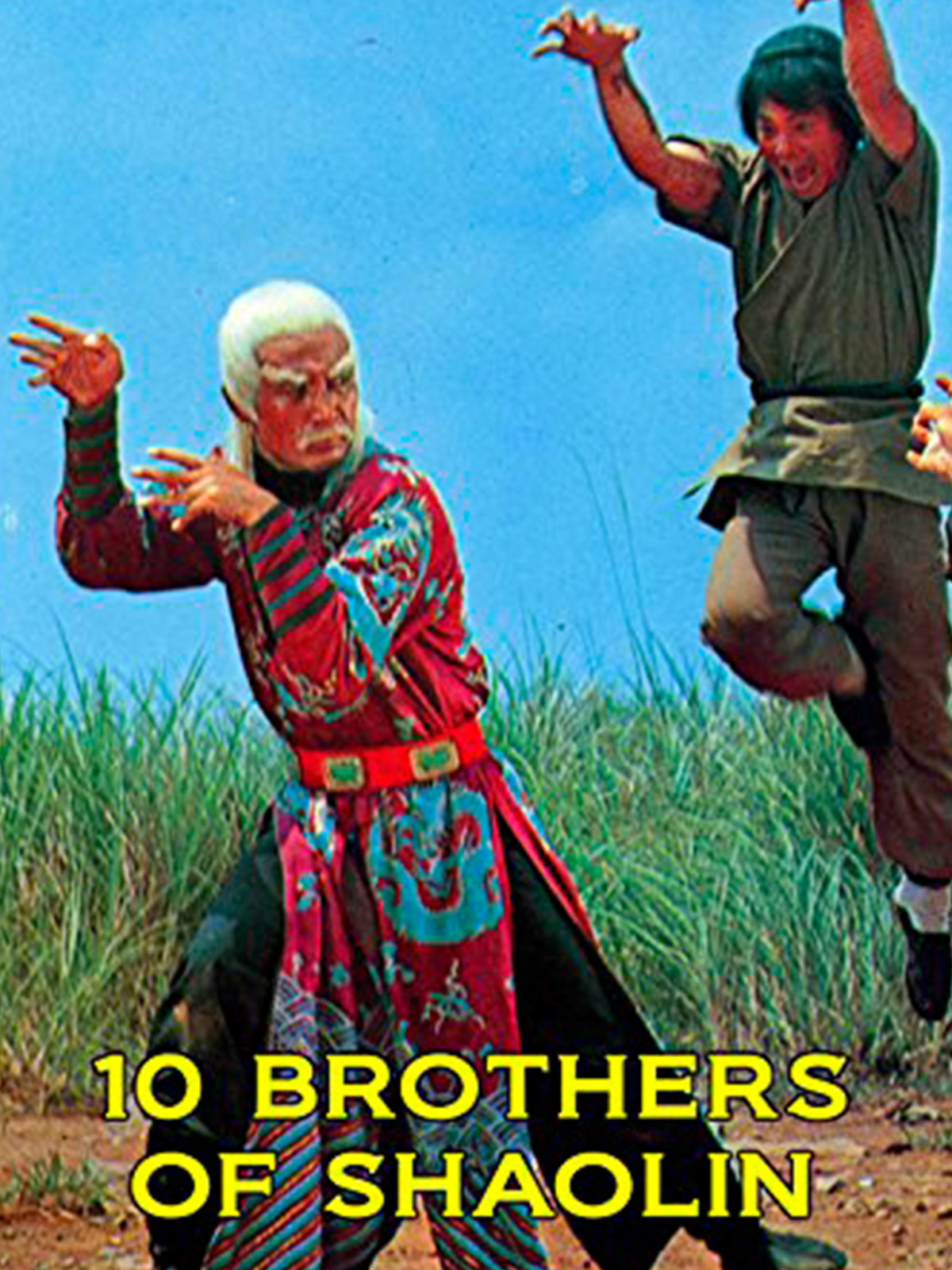 Prime Video: 10 Brothers of Shaolin