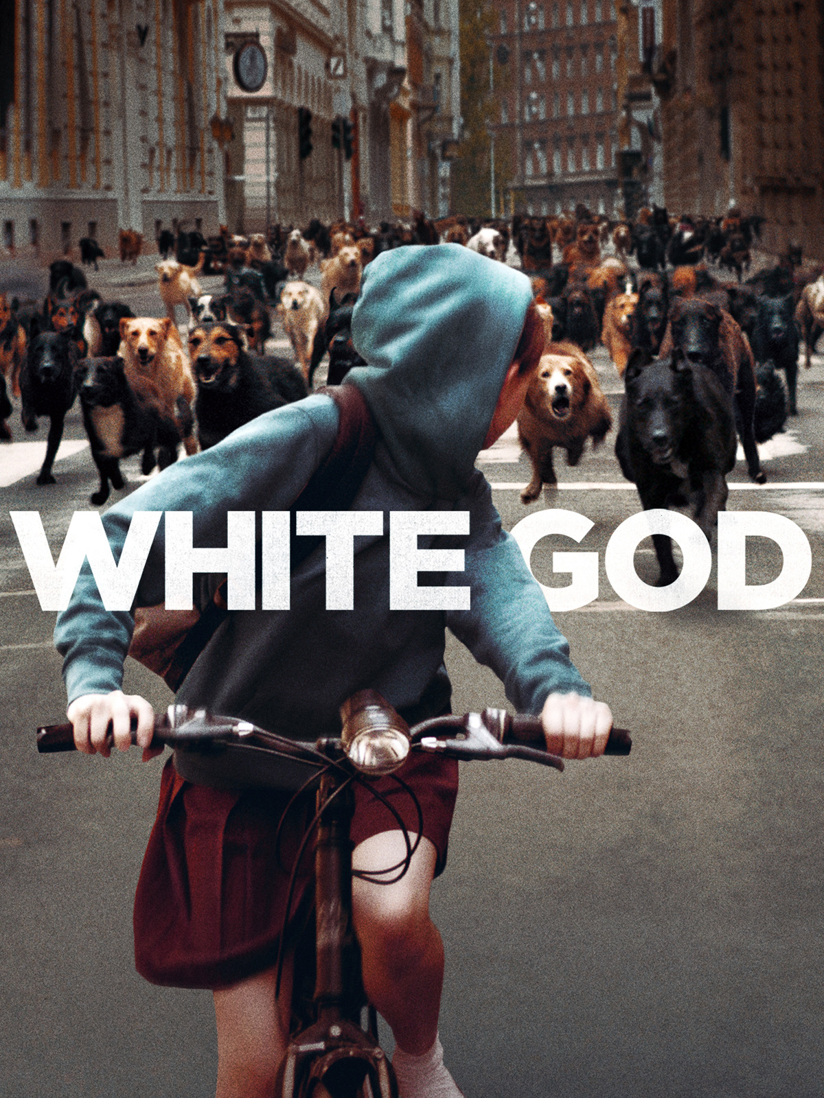 Prime Video: White God