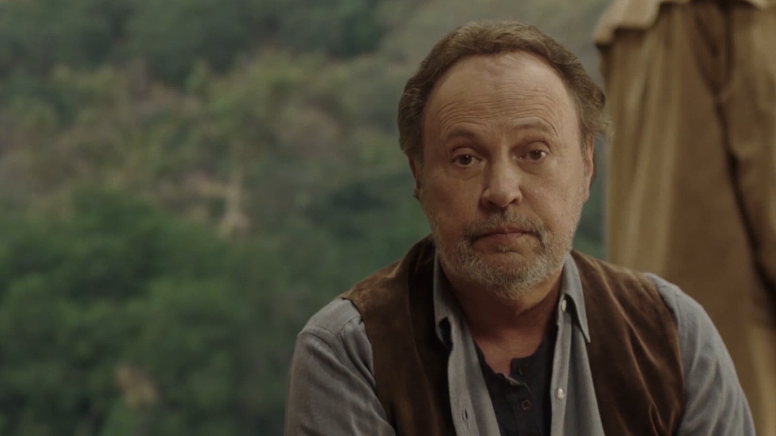 Daniel Stern City Slickers