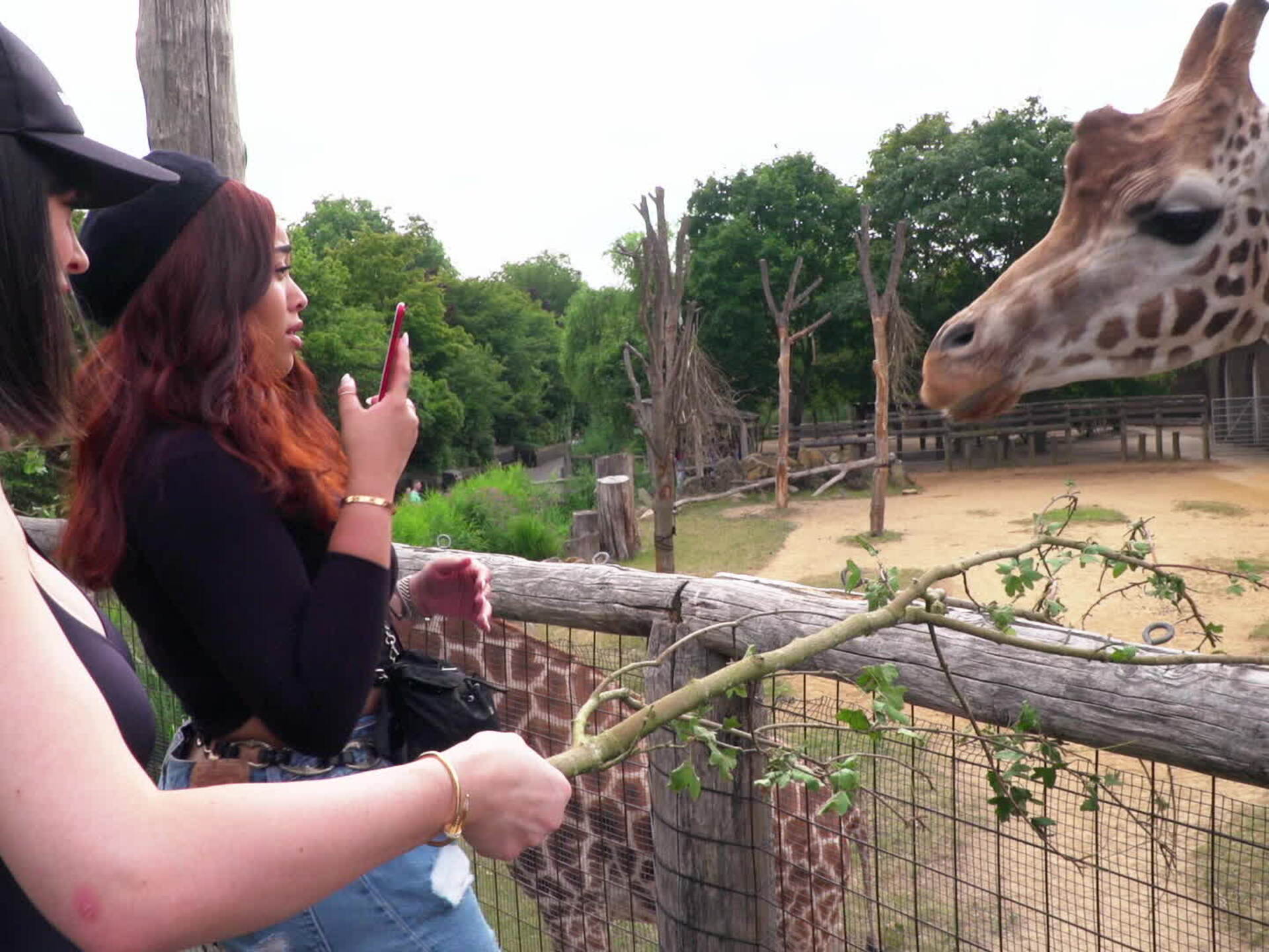 Prime Video: Life of Kylie - Season 1