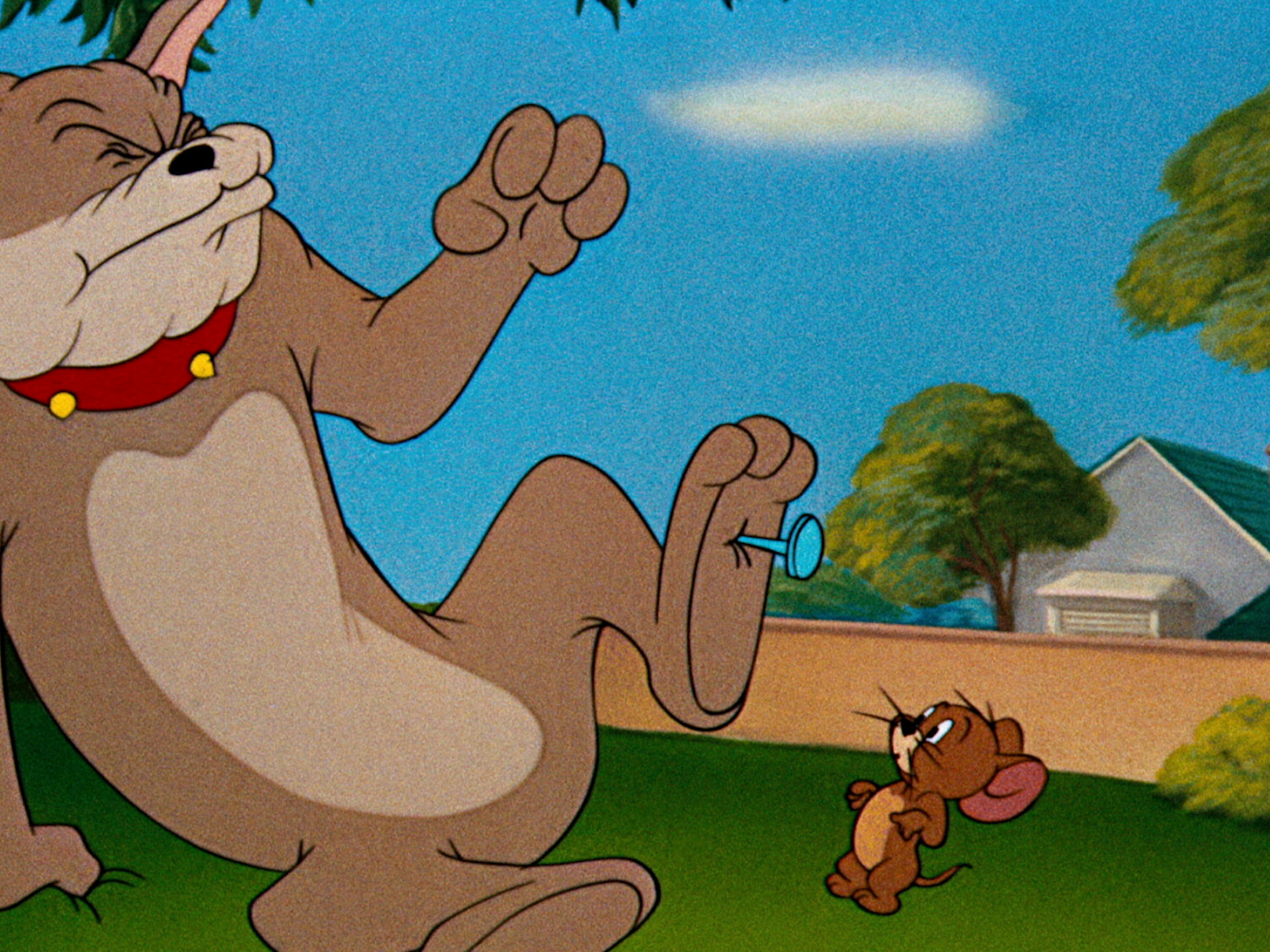 Prime Video: Tom and Jerry - Season 2