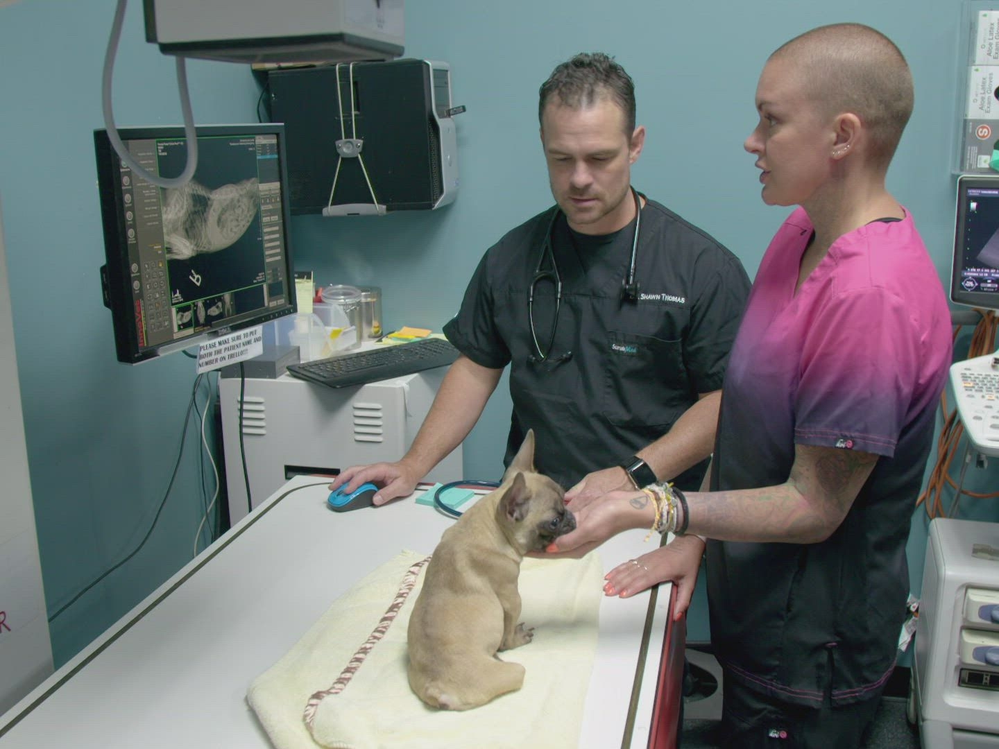 Prime Video: Amanda To The Rescue - Season 2