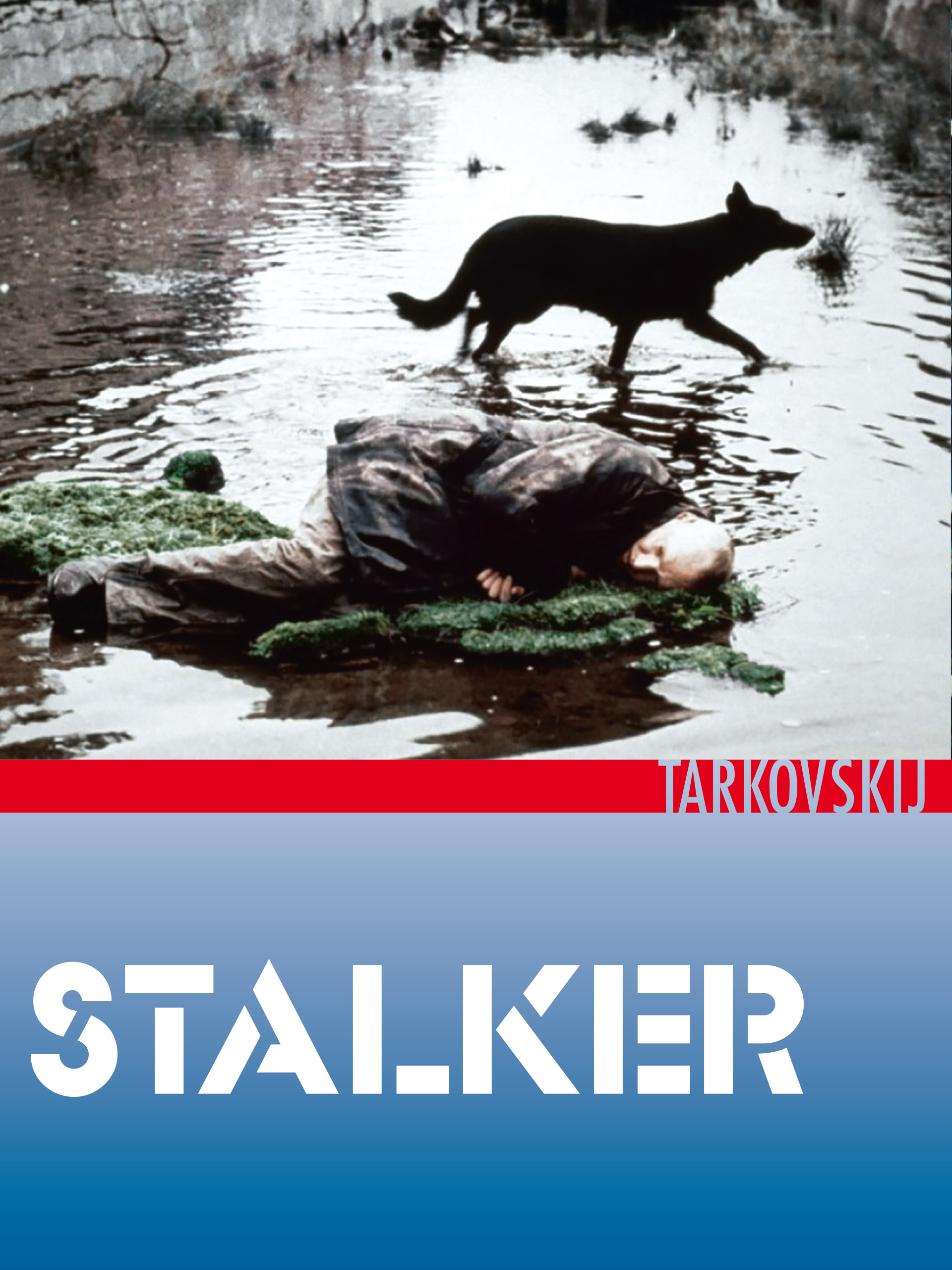 Prime Video: Stalker