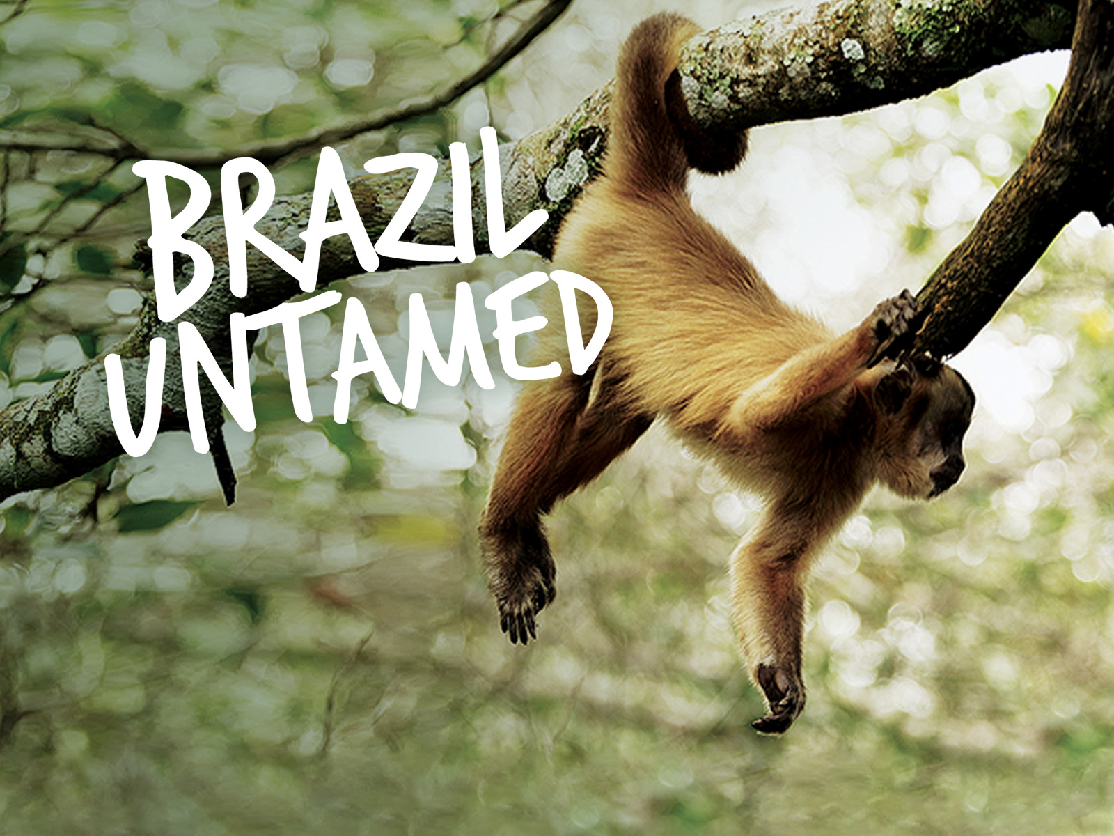 Prime Video: Brazil Untamed - Season 1
