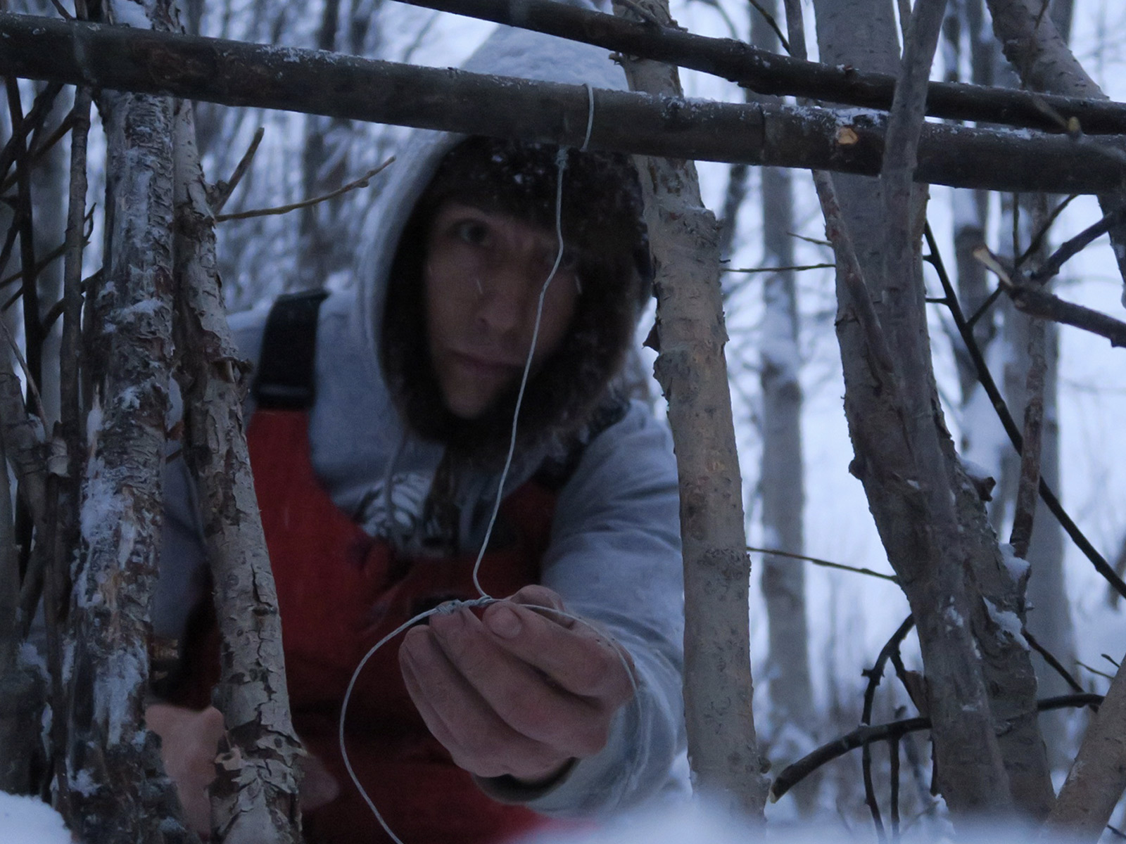 Prime Video: Life Below Zero - Season 7