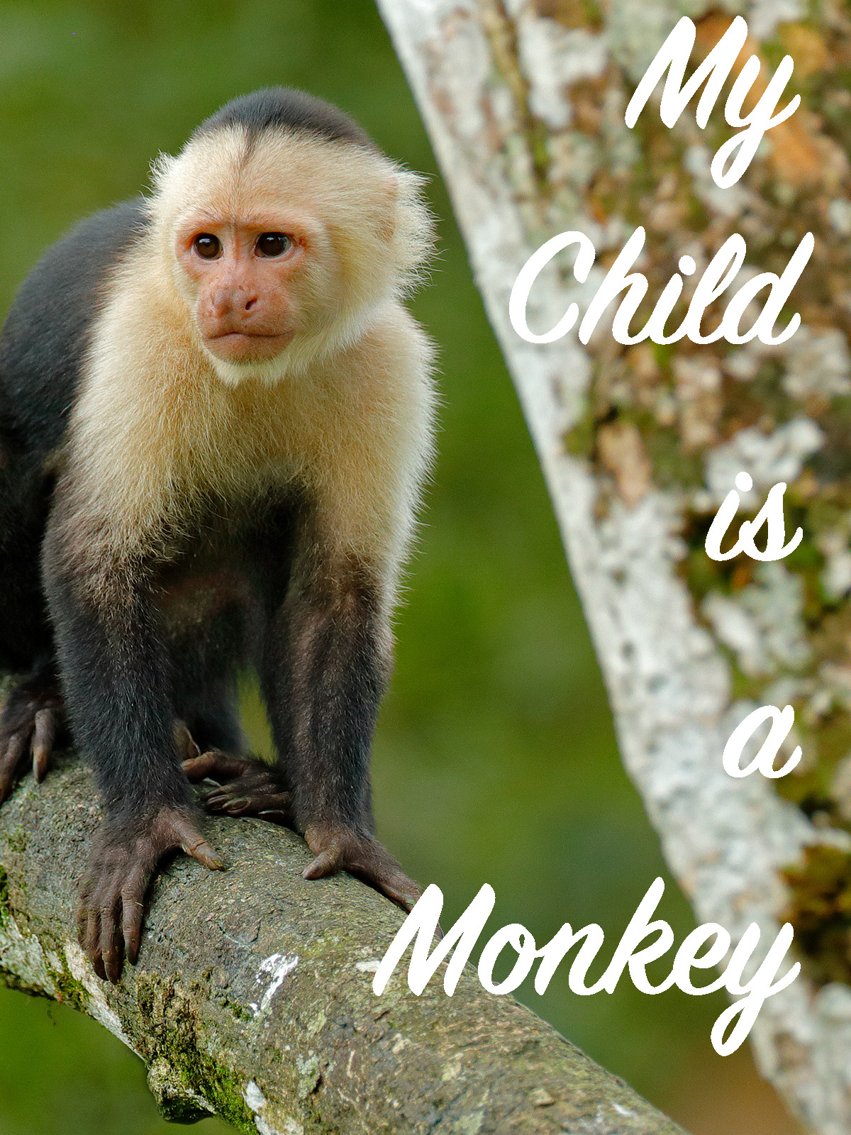 prime-video-my-child-s-is-a-monkey