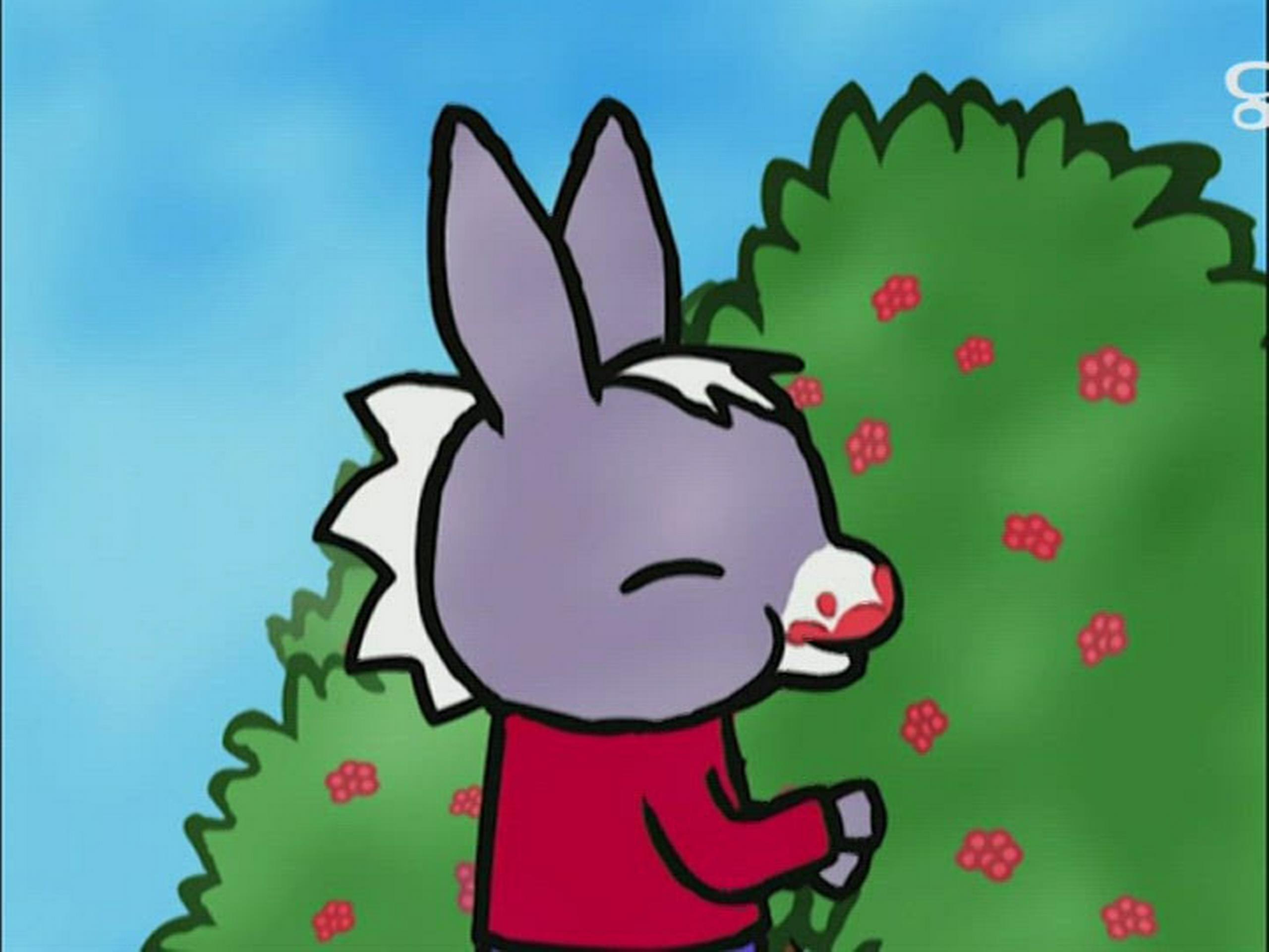 Prime Video: Trotro - Saison 1