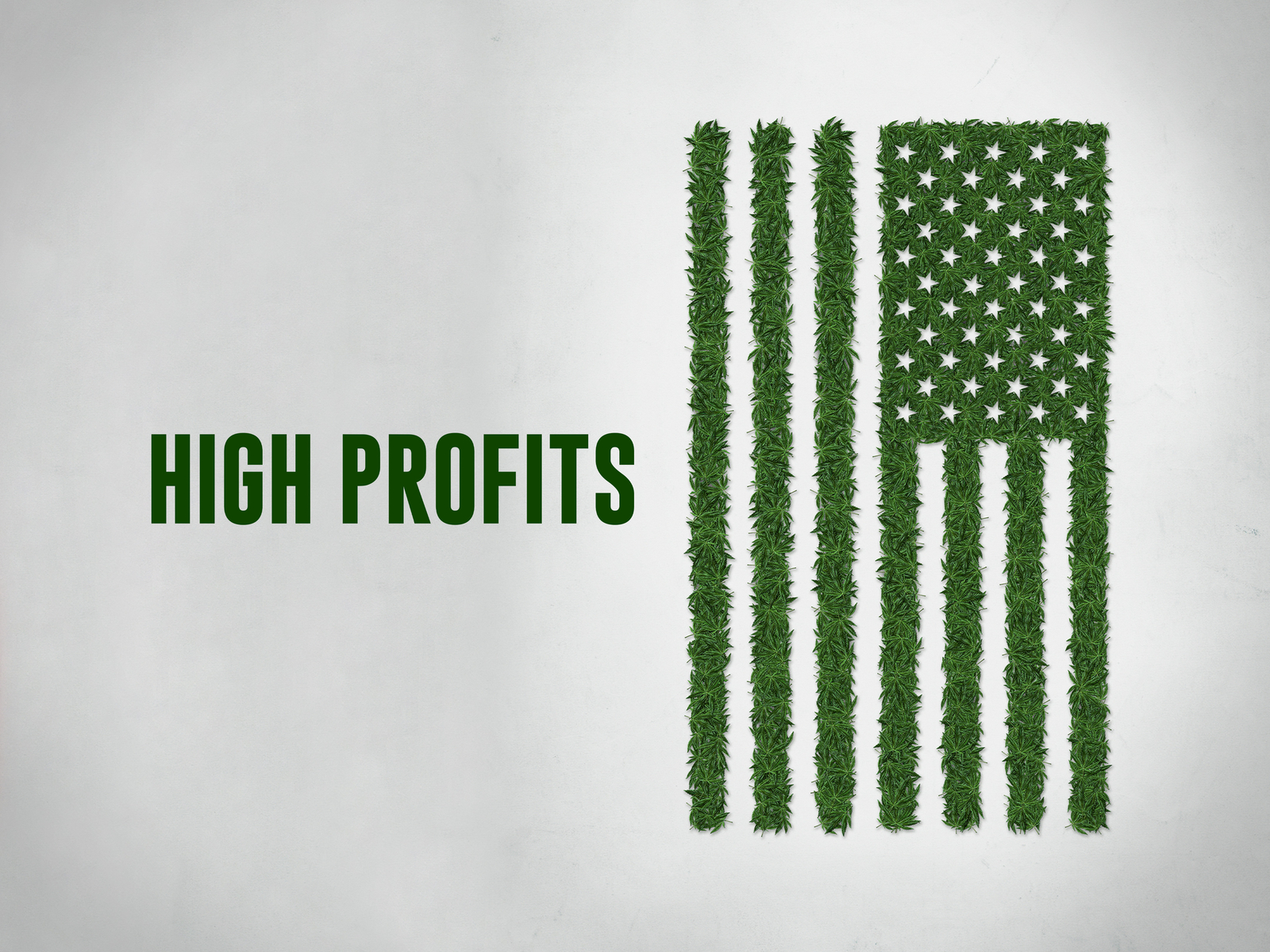 Prime Video: High Profits Season 1