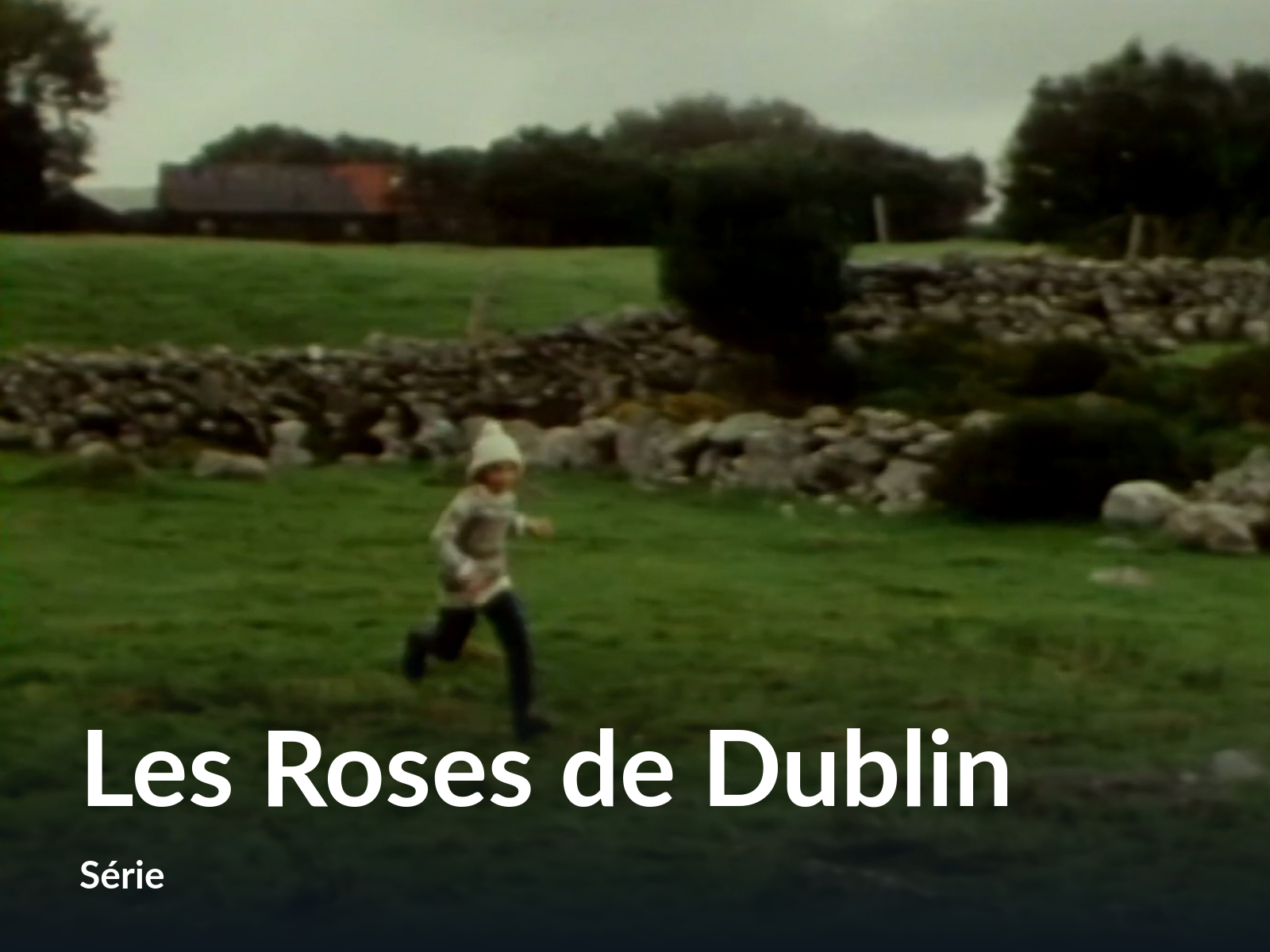 prime-video-les-roses-de-dublin-saison-1