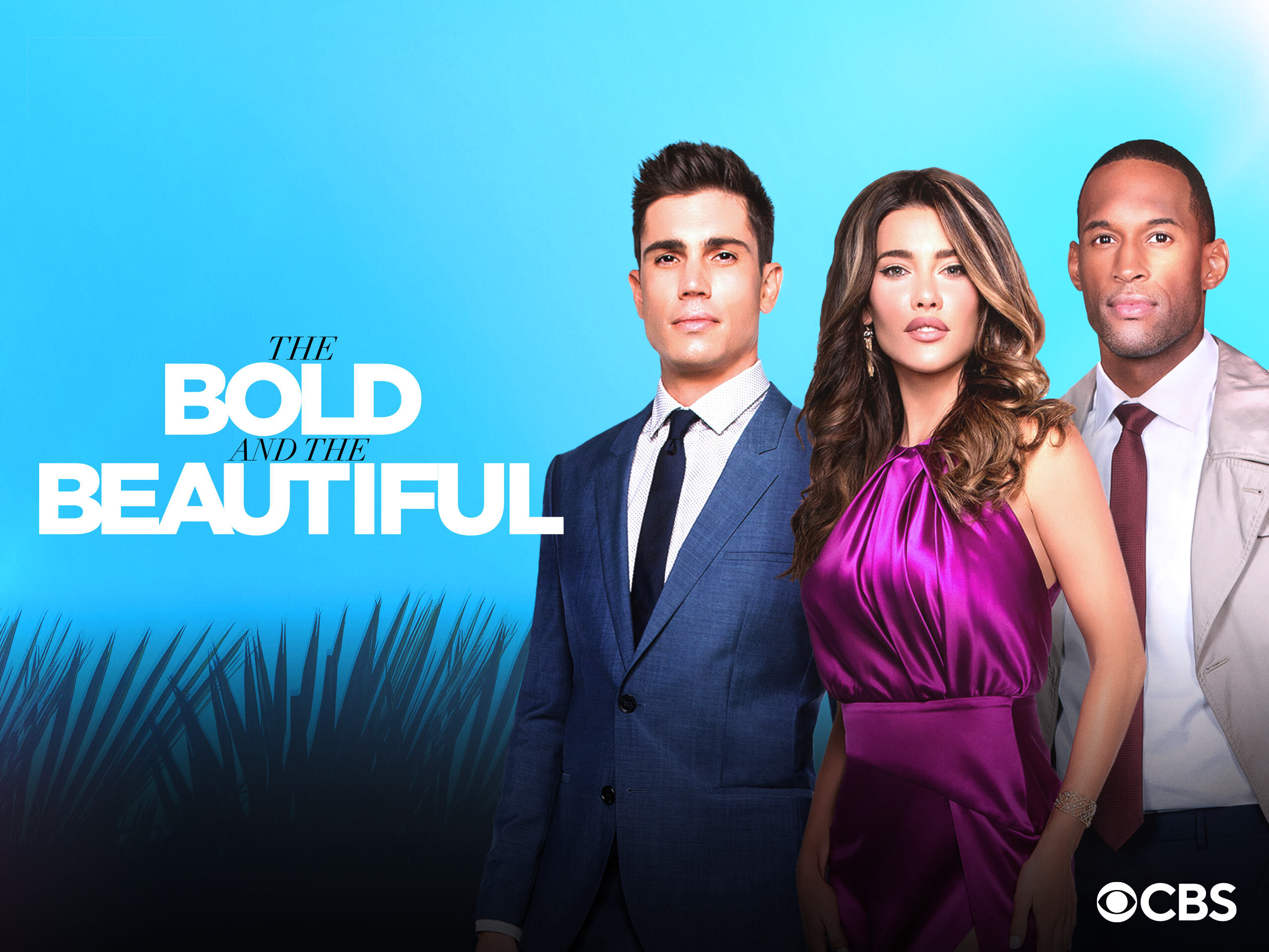 Prime Video: The Bold and the Beautiful