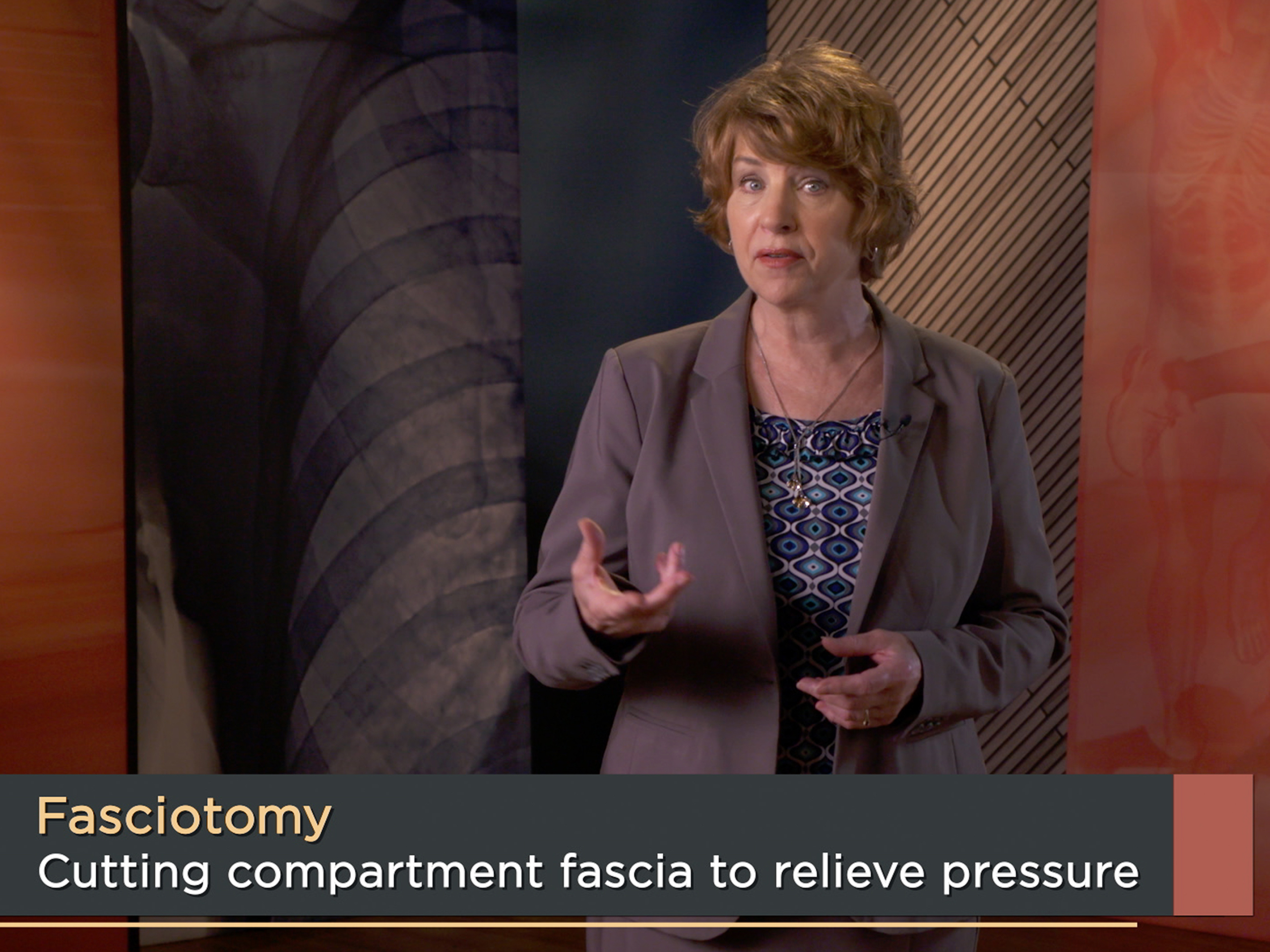 Prime Video: How We Move: The Gross Anatomy of Motion