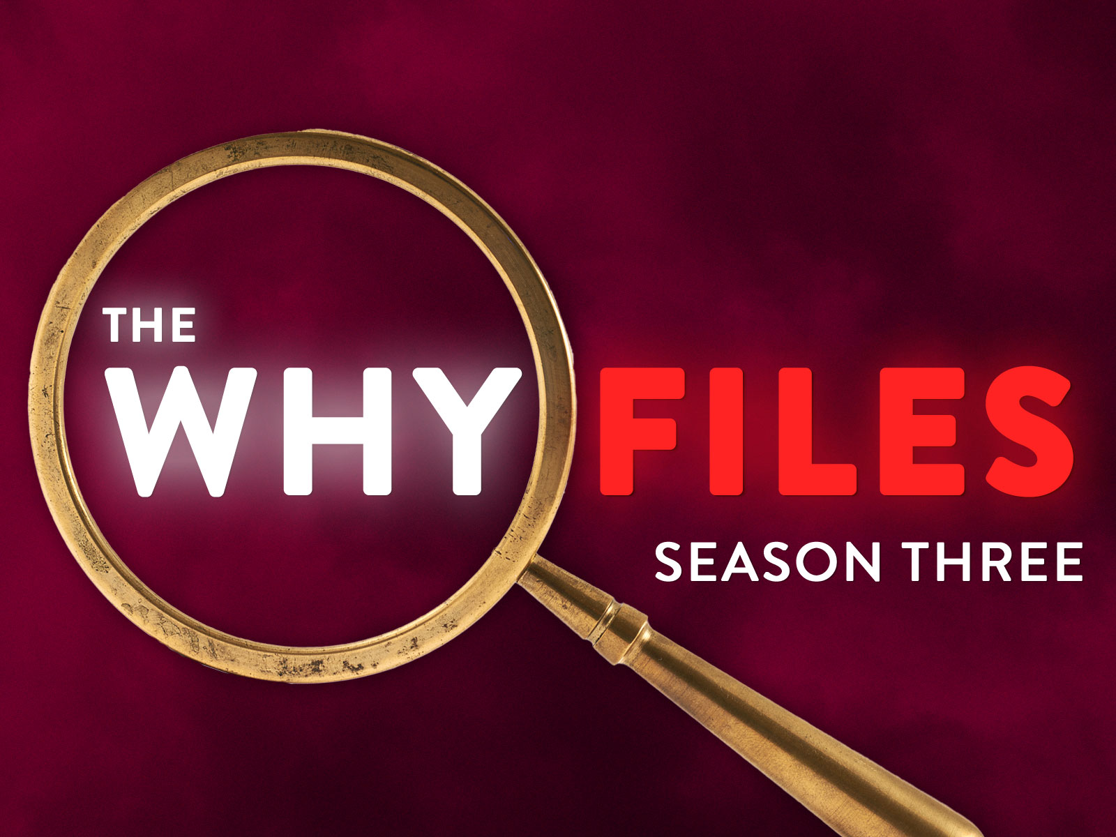 Prime Video: The Why Files
