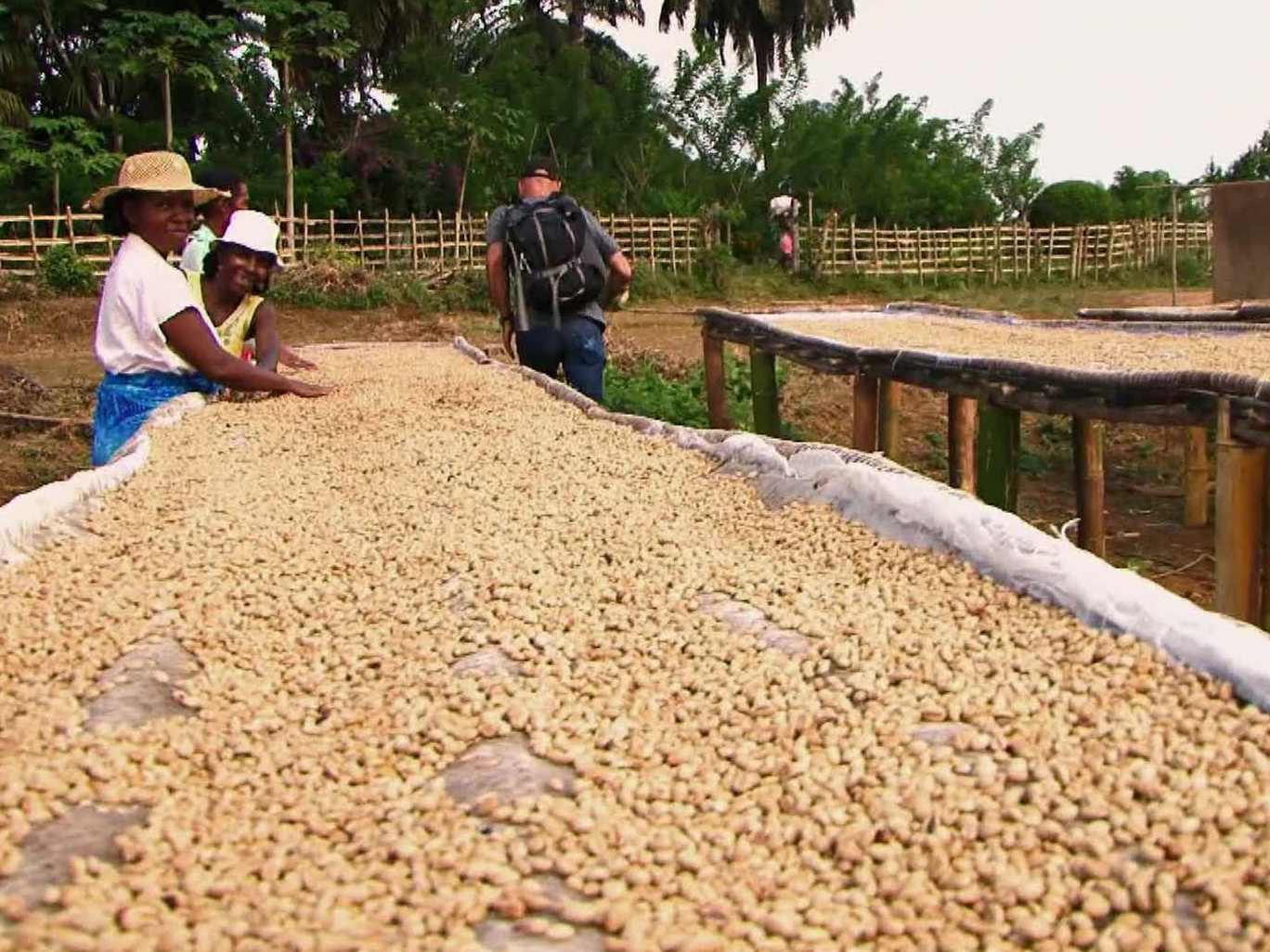 Prime Video: Dangerous Grounds - Season 1