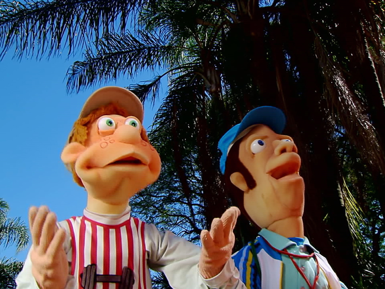 Prime Video: Cocoricó