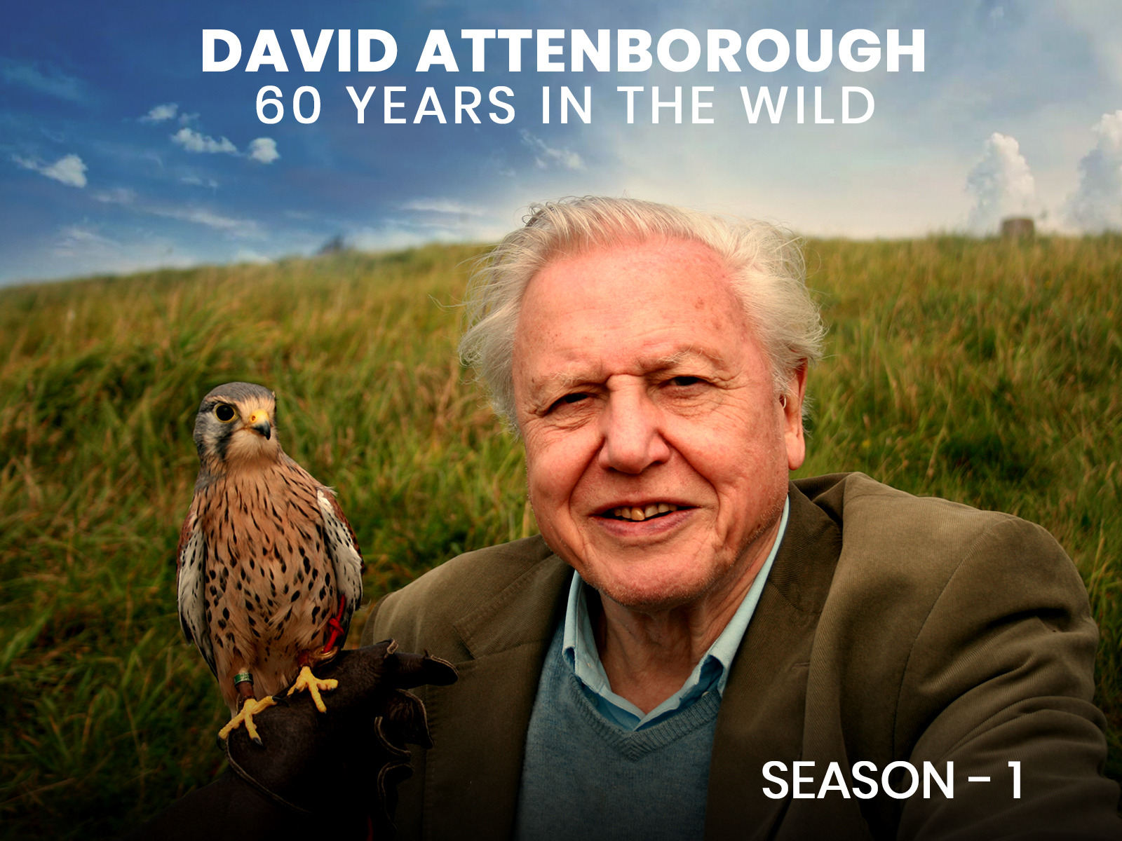 Prime Video: David Attenborough - 60 Years in the Wild
