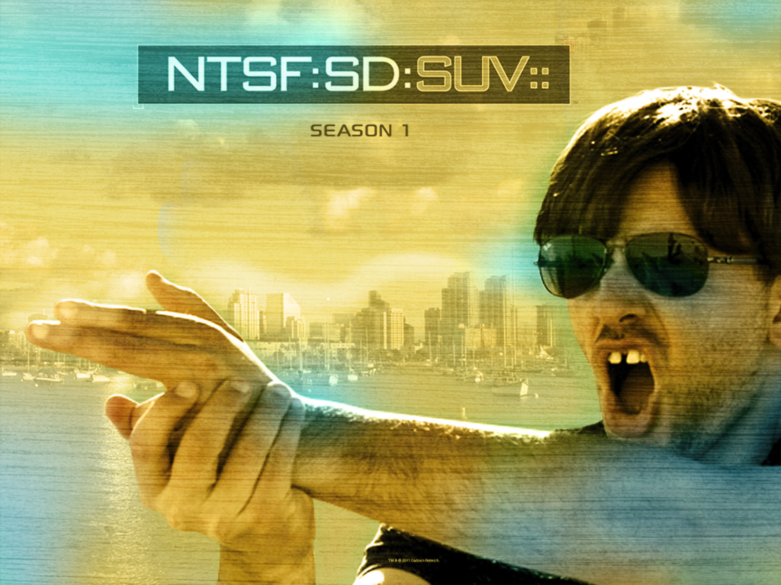 Prime Video: NTSF:SD:SUV:: Season 1