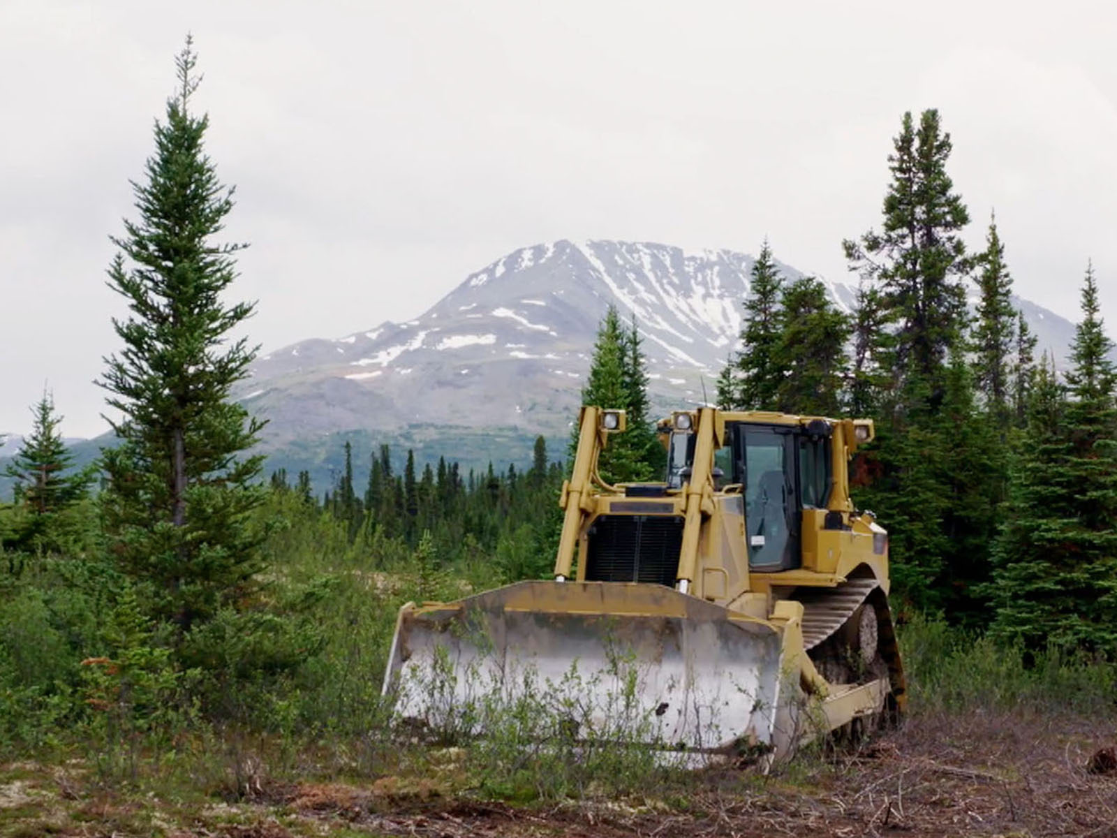 Prime Video: Jade Fever