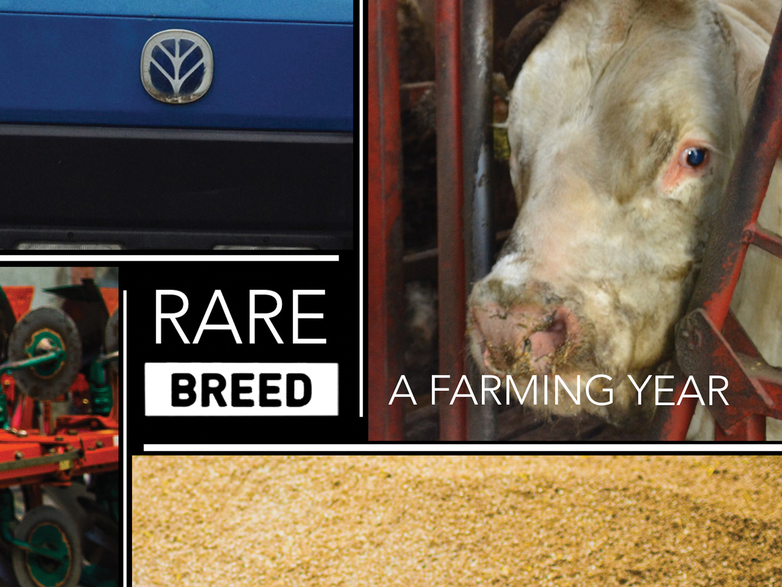 Prime Video: A Rare Breed