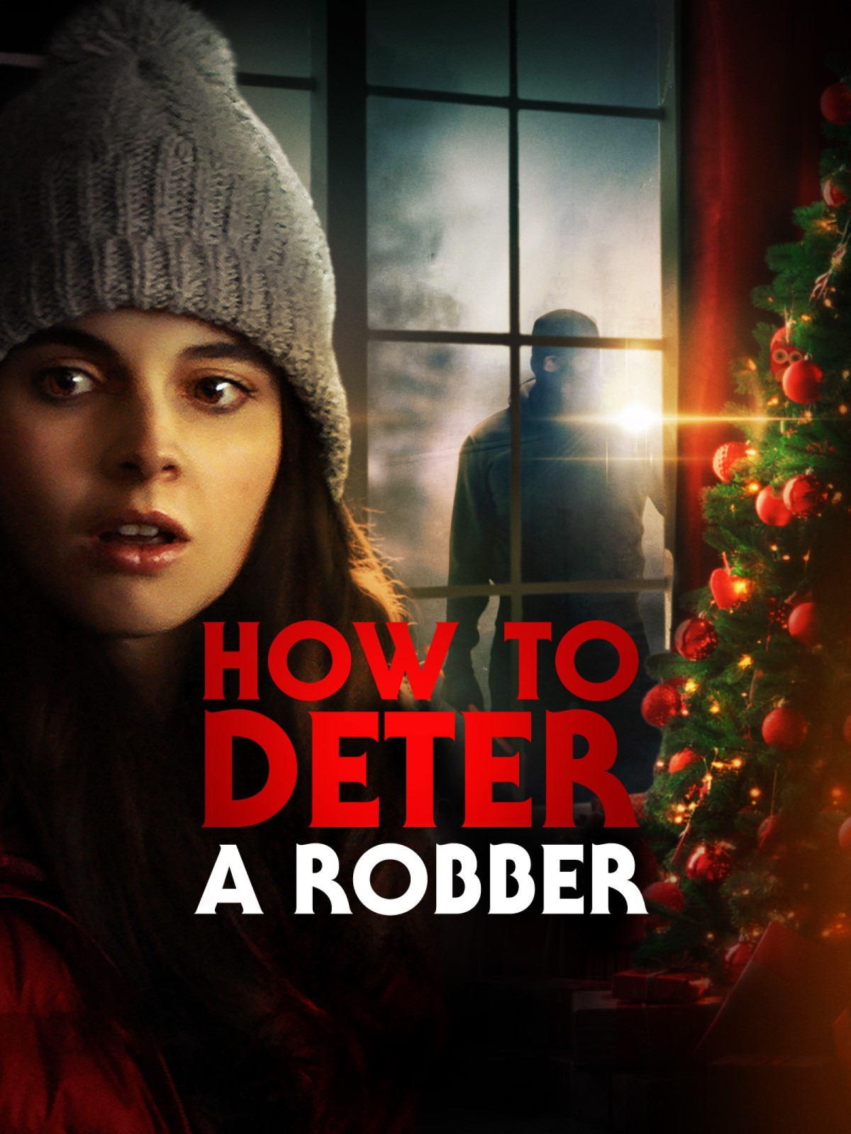 Prime Video: How to Deter a Robber