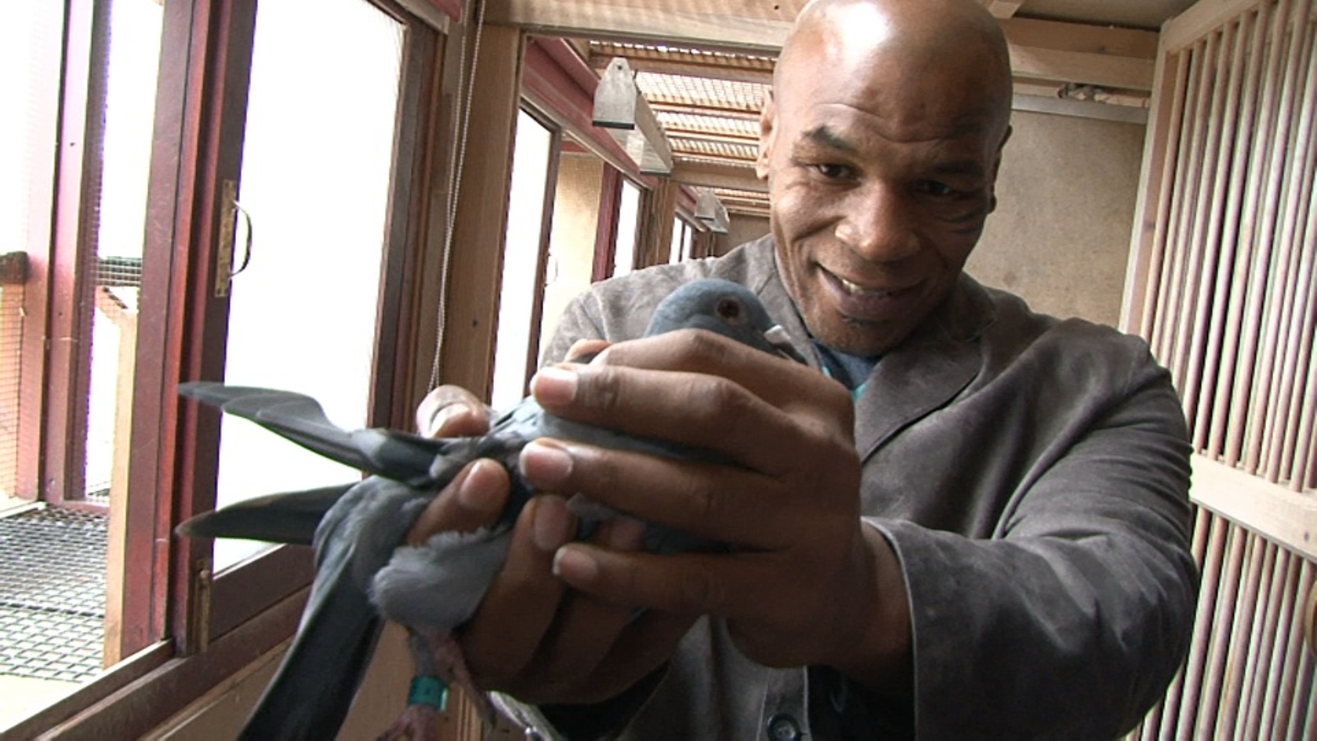 Watch Mike Tyson - Birdman of Boxing | Prime Video