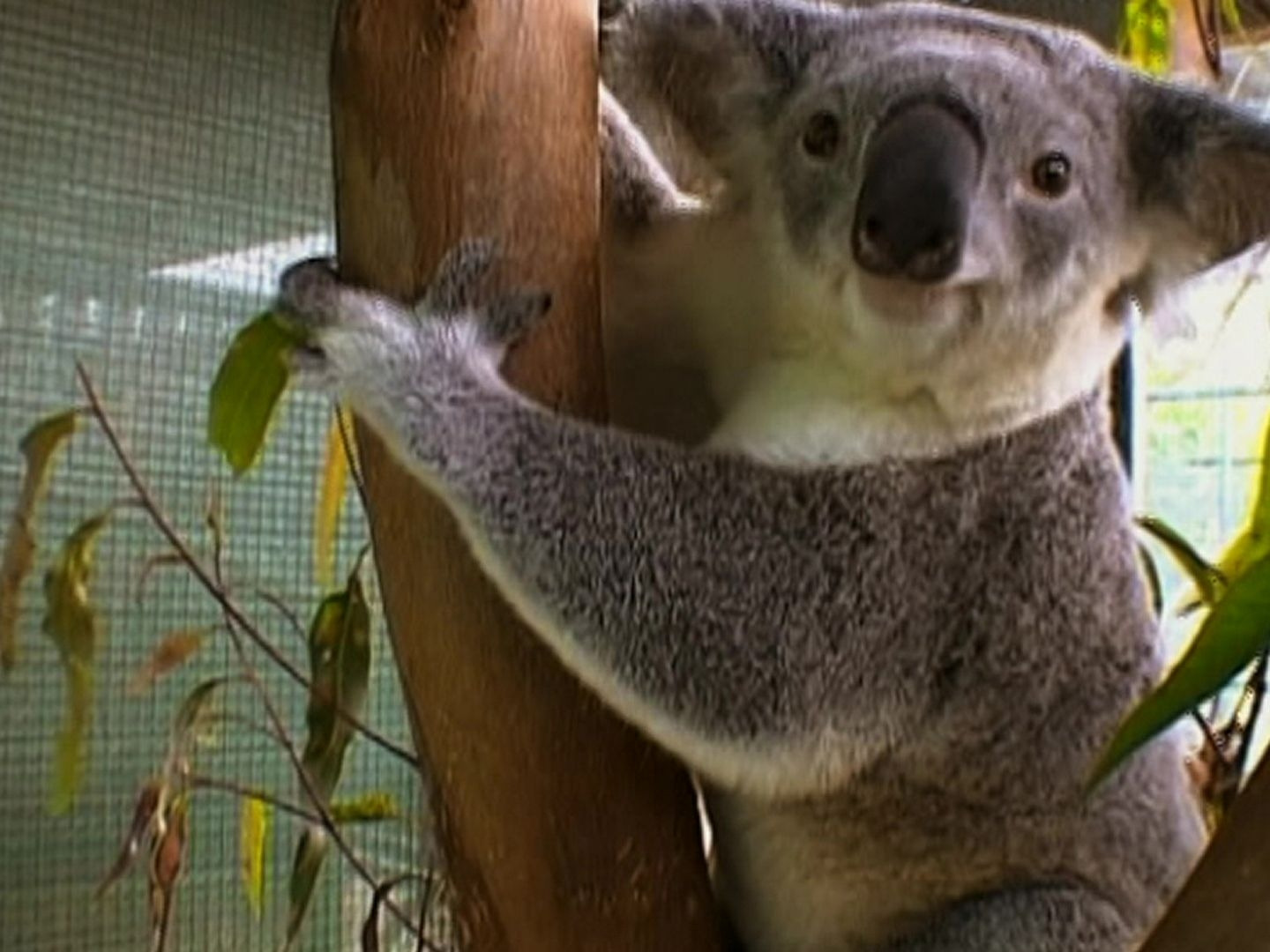 Prime Video: Crocodile Hunter Diaries - Season 2