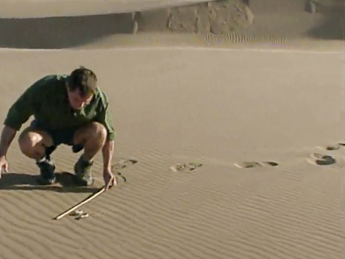 Prime Video: The Jeff Corwin Experience - Season 1