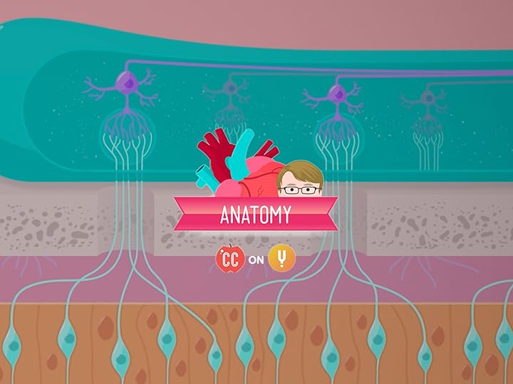 Prime Video: Crash Course: Anatomy & Physiology - Season 1