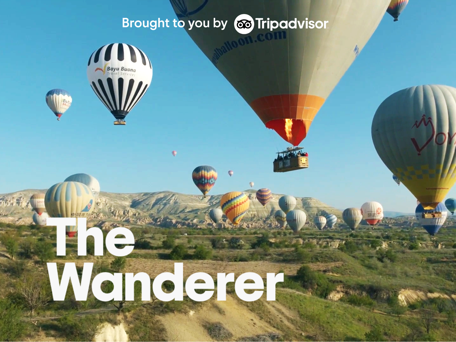 Prime Video: The Wanderer