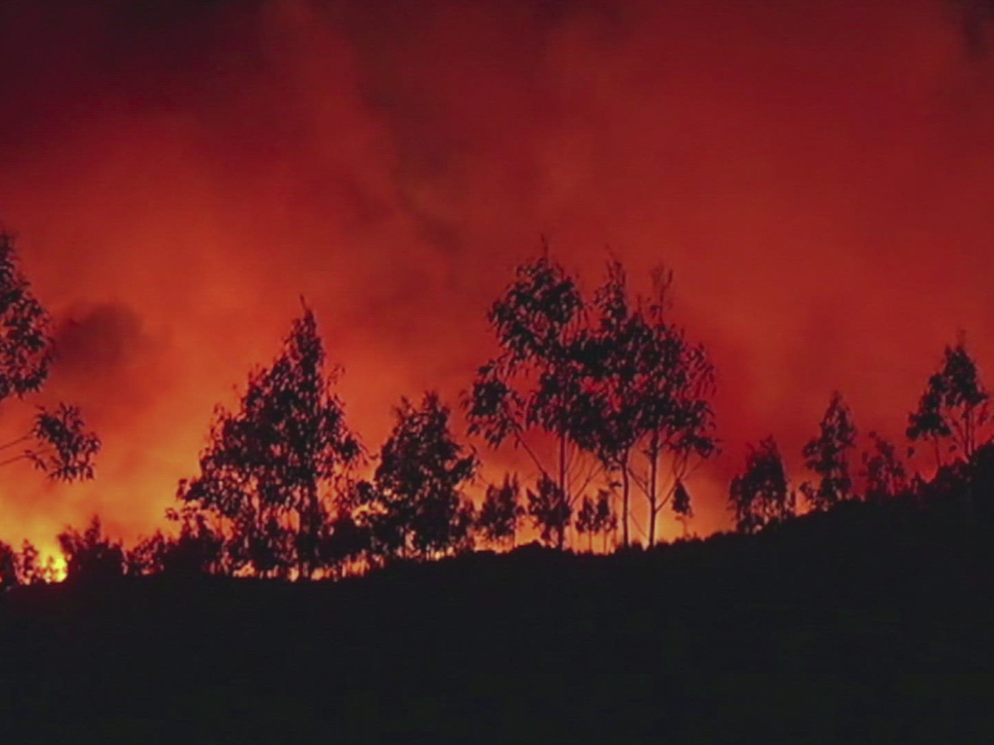 Prime Video: Extreme Weather - The Survivors - Season 1