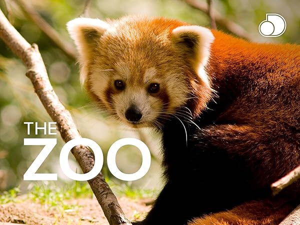 Prime Video: The Zoo - Season 1