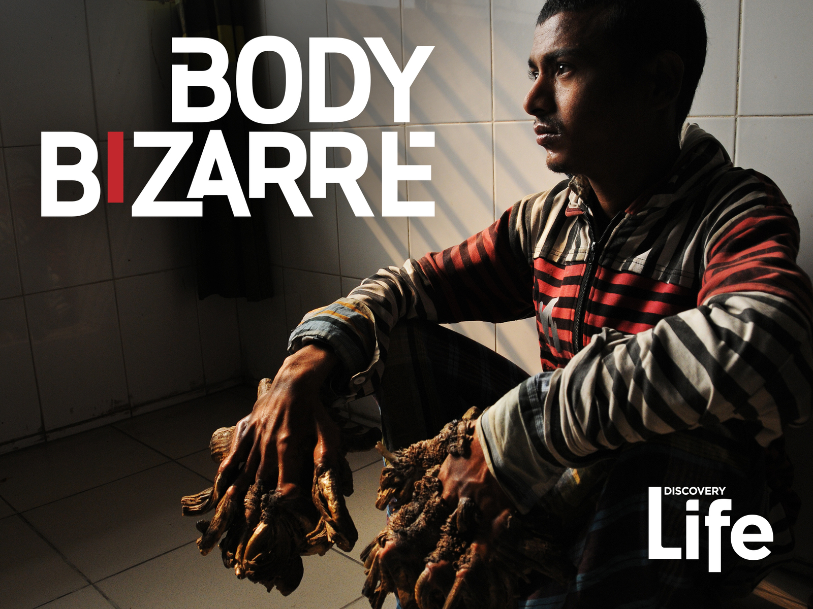 Prime Video: Body Bizarre Season 3