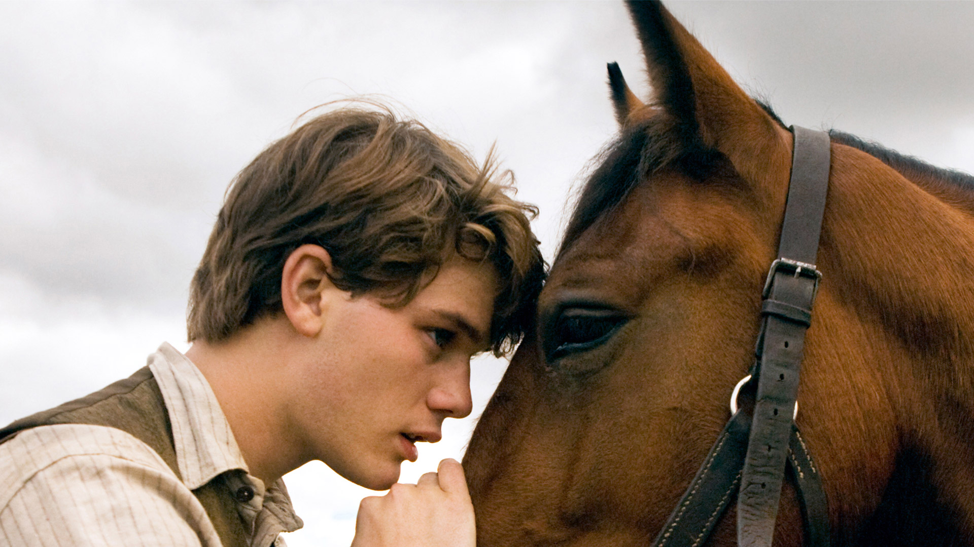 Watch War Horse | Prime Video