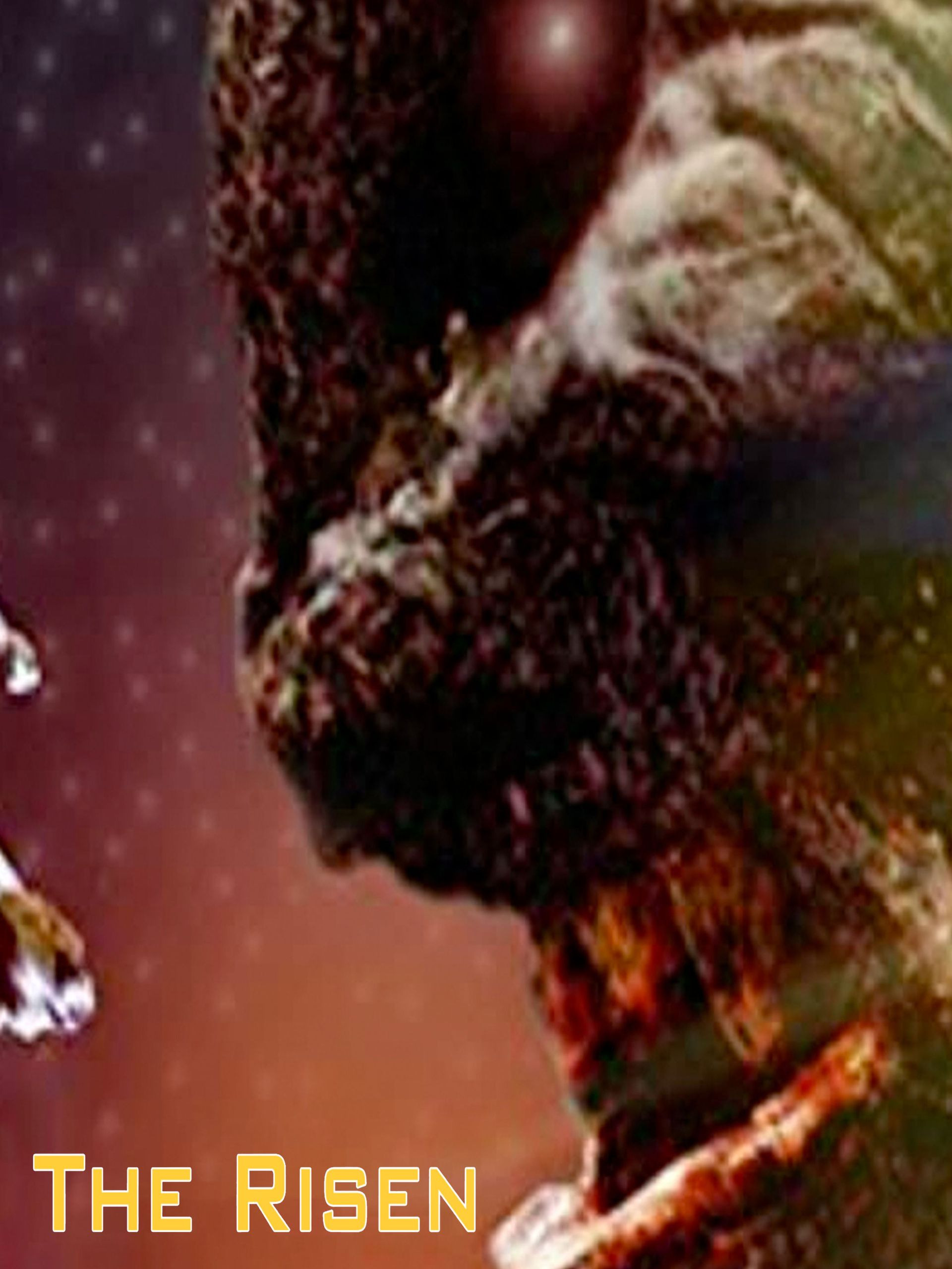 Prime Video: The Risen