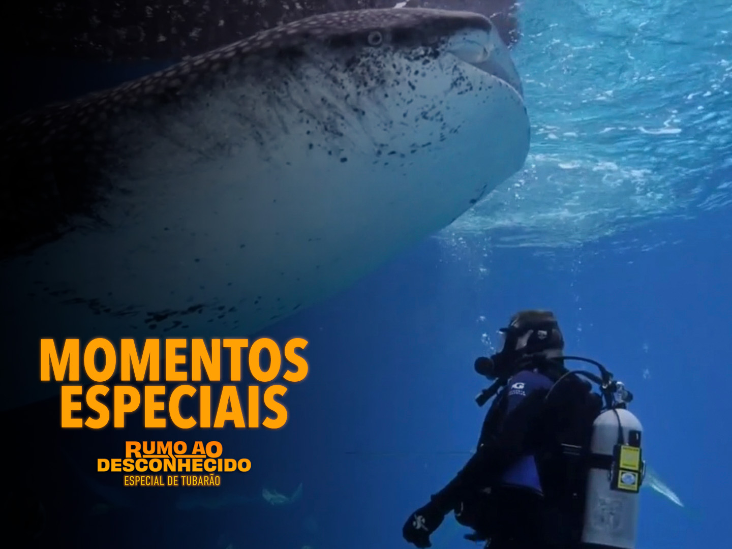 Prime Video: Shark Week - Season 2020